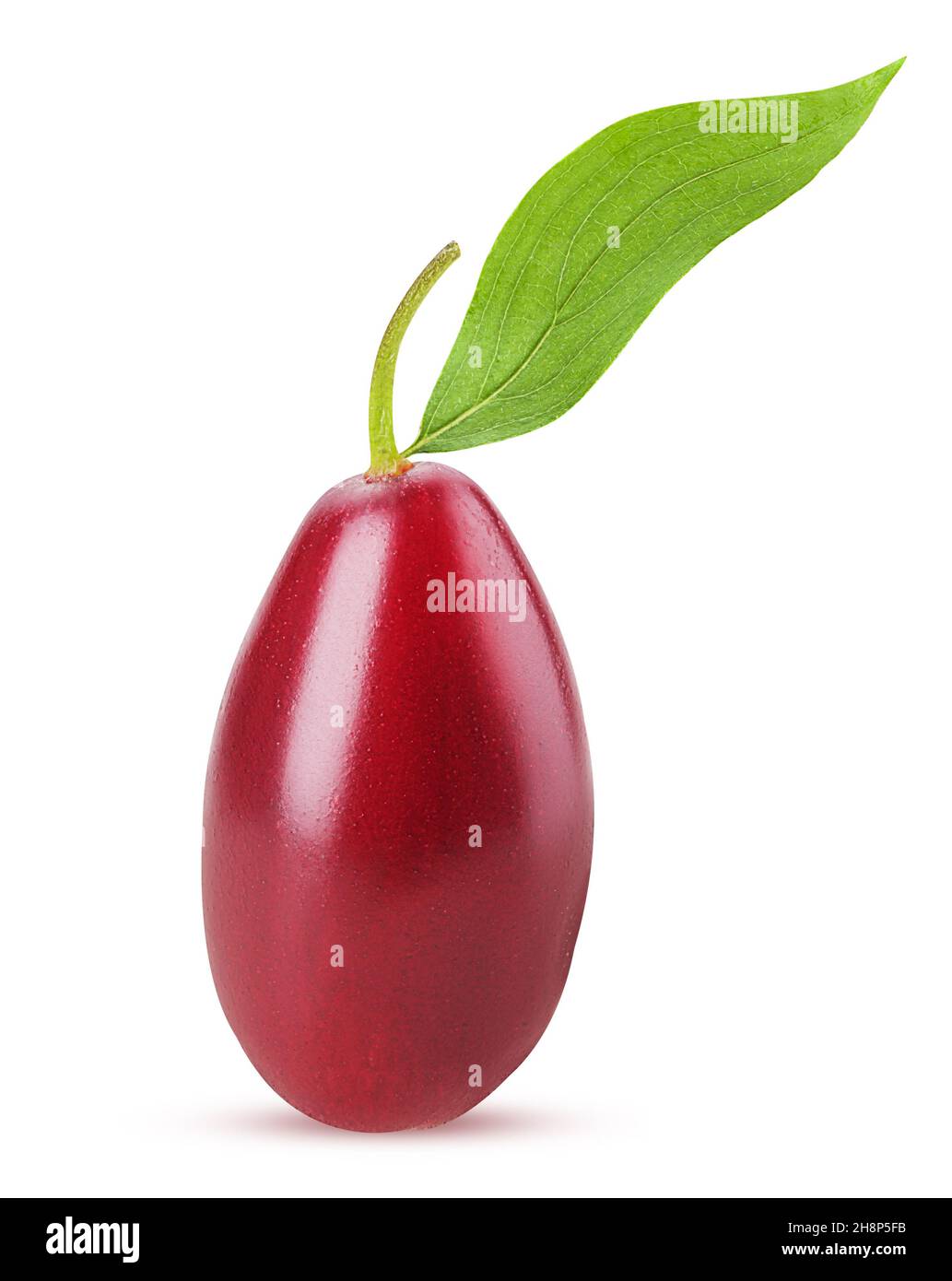 Cornel berries with leaf isolated isolated on white background ...