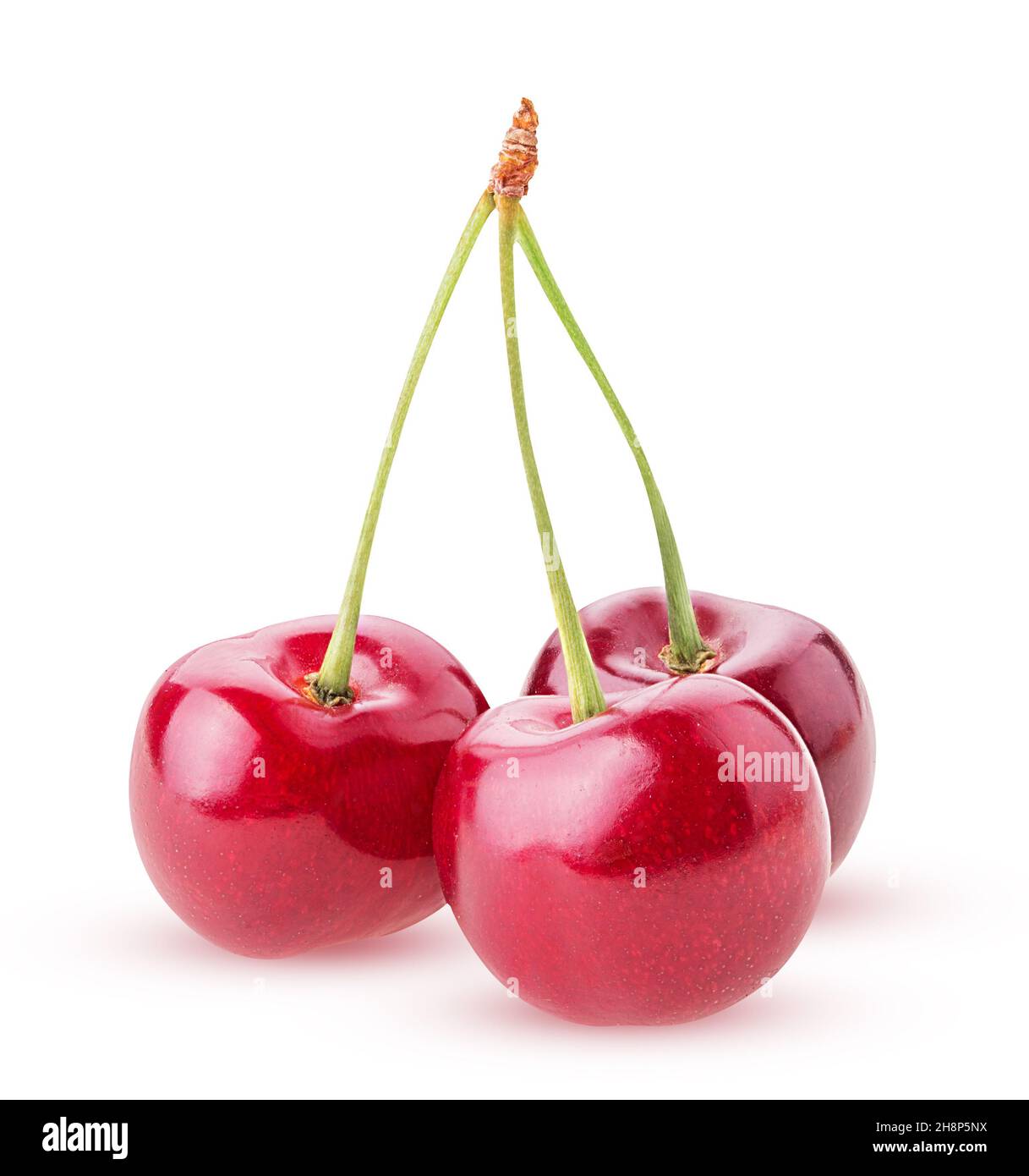 Sweet cherry berry, three on a branch isolated on white background ...