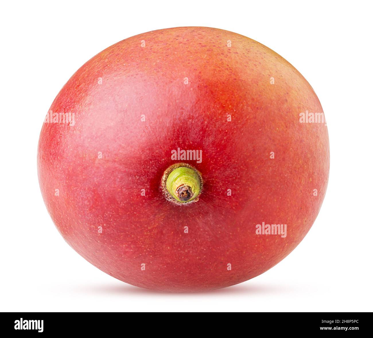 Mango exotic friut isolated on white background. Clipping Path. Full ...