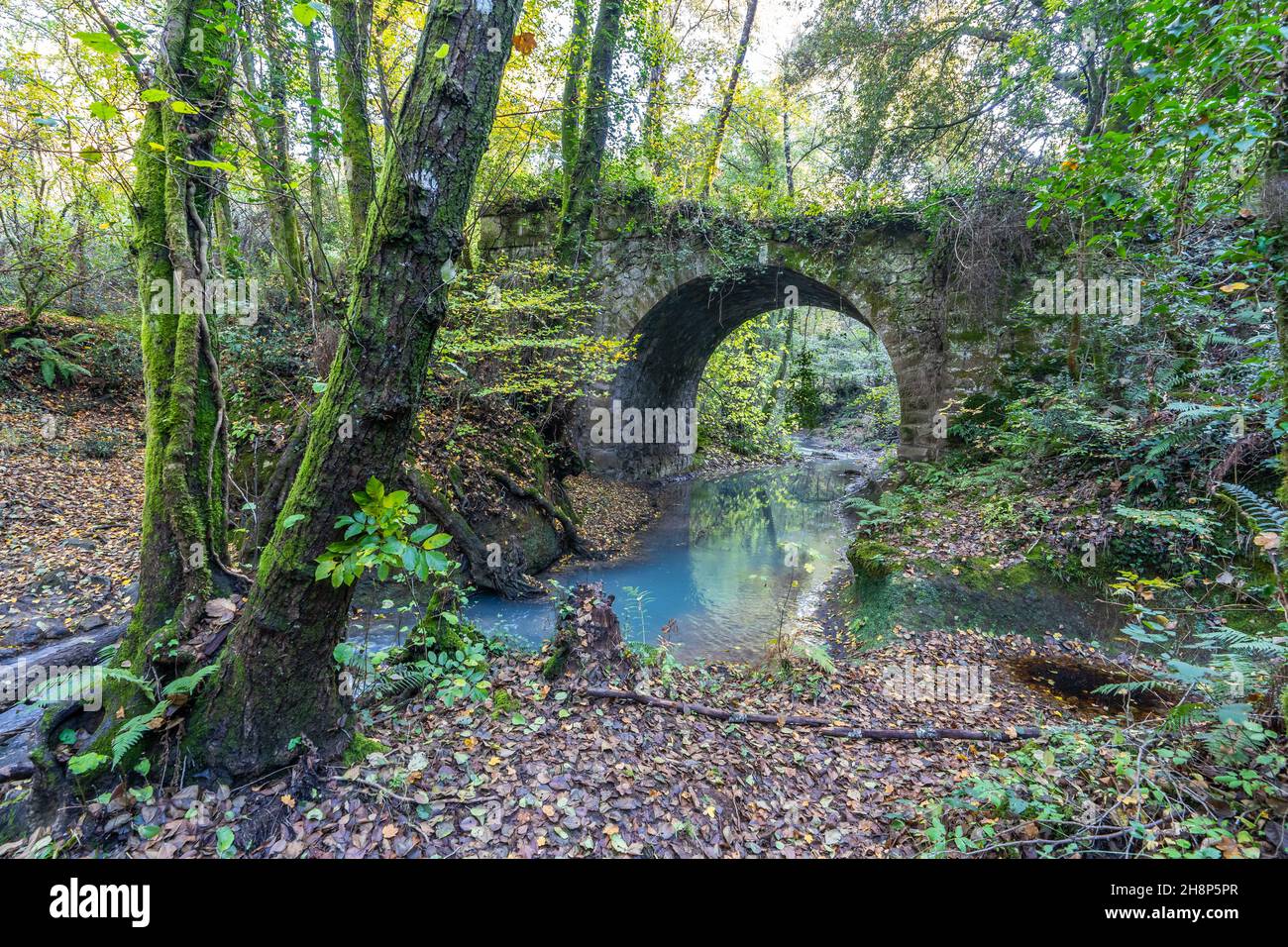 The Austrian bridge along the Etruscan path (Cerveteri, Italy Stock ...