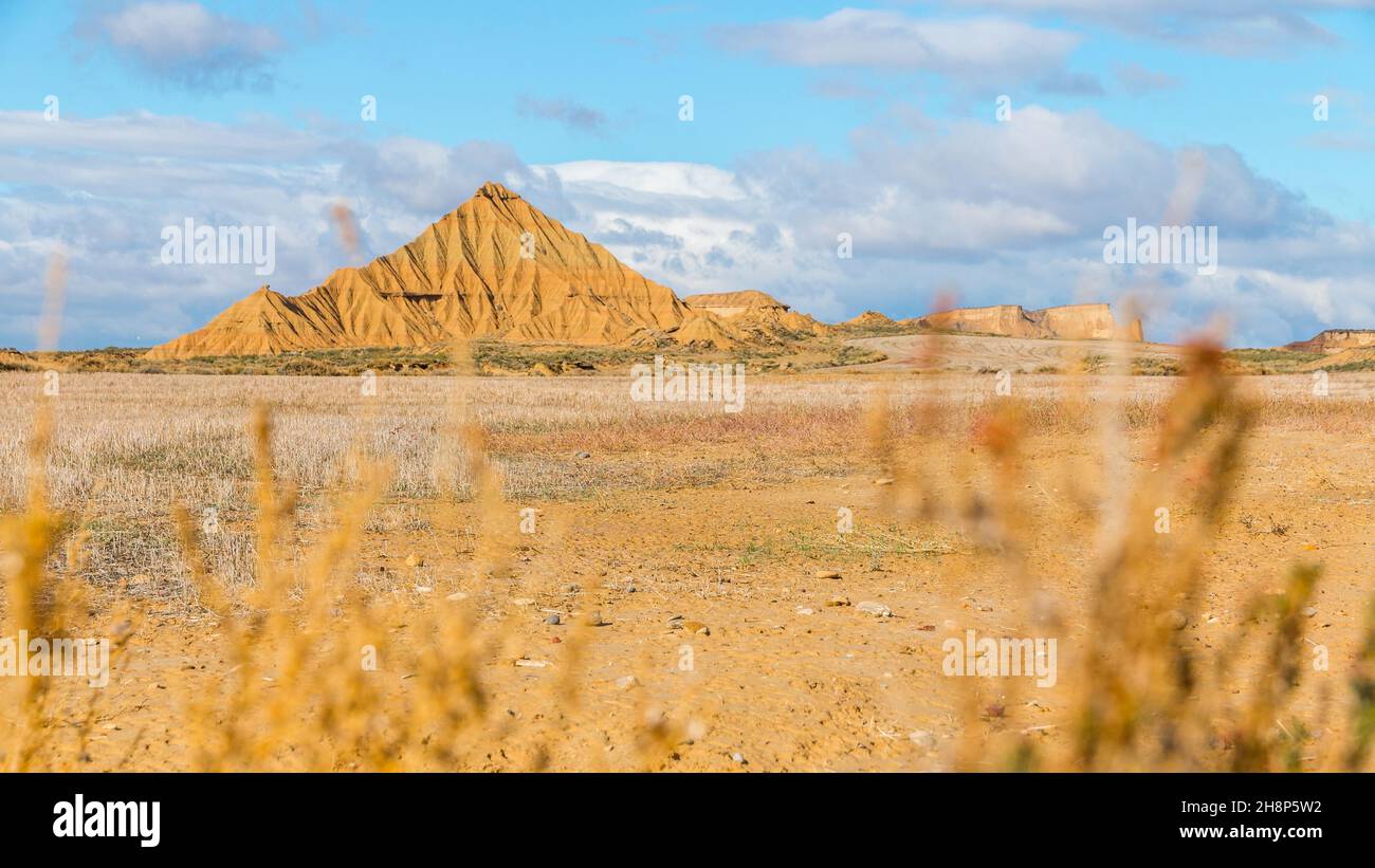 Dry landscape view with grass Stock Photo - Alamy