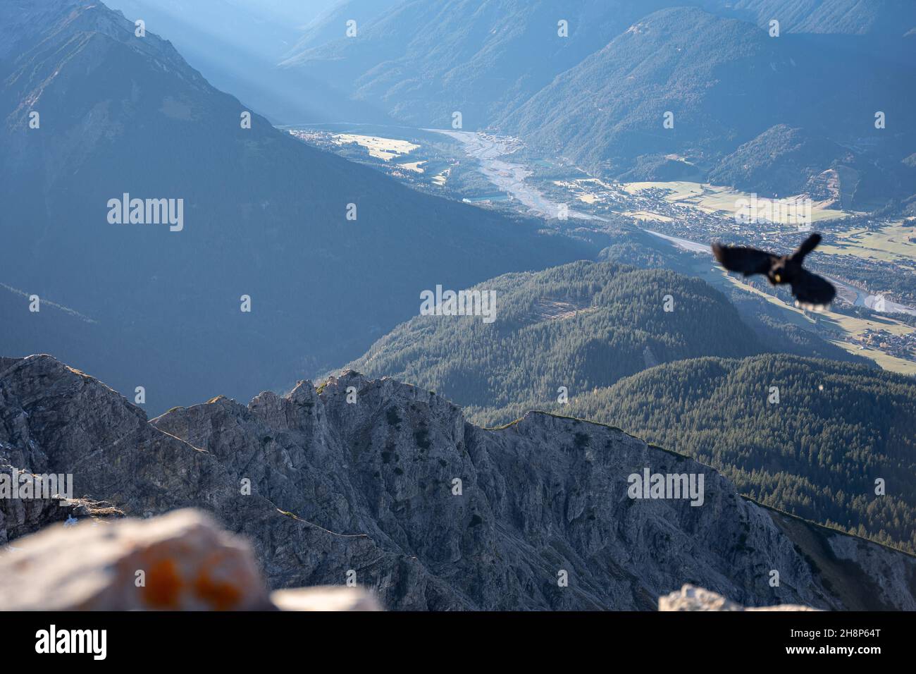 Black hawk flying over the mountains in summer Stock Photo - Alamy