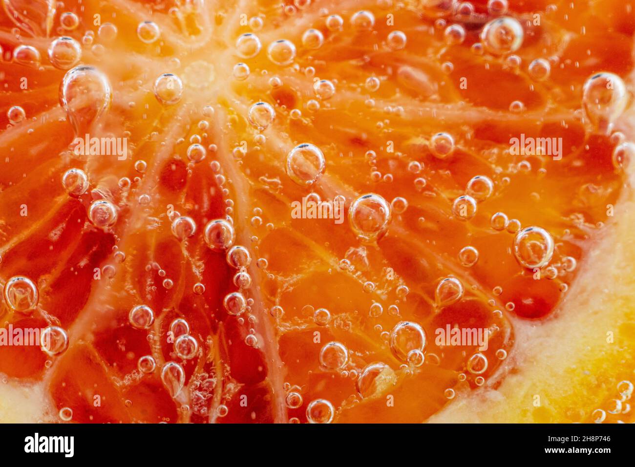 Grapefruit close-up in liquid with bubbles. Slice of blood red ripe ...