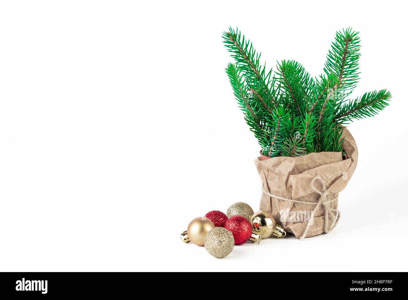 Small undecorated Christmas tree in a pot wrapped in craft paper and ...