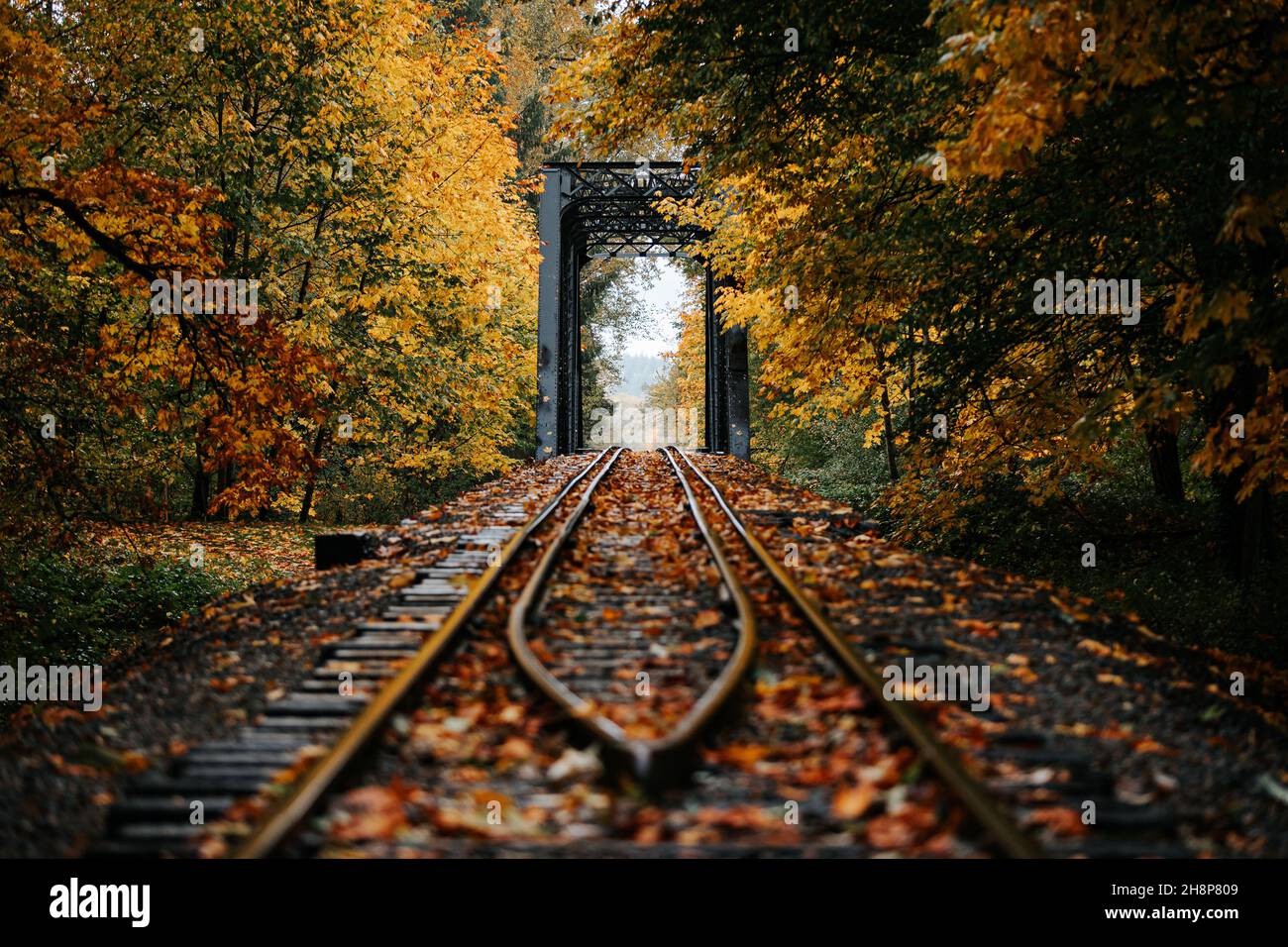 Bright fall colors hi-res stock photography and images - Alamy