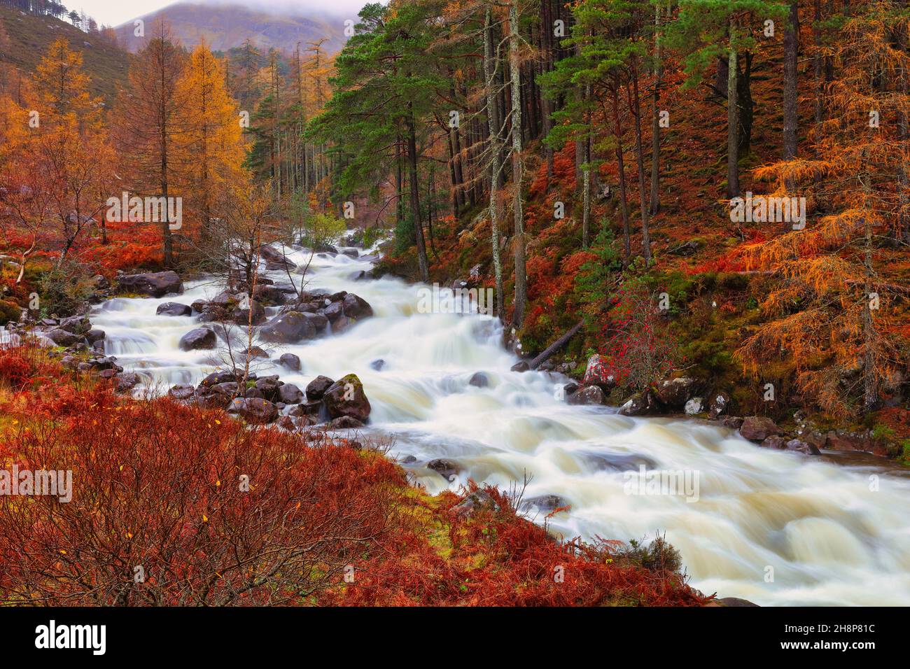 Torridon north west highlands hi-res stock photography and images - Alamy