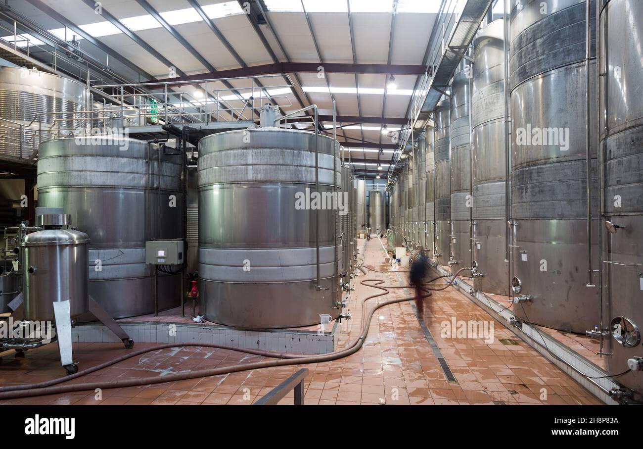 contemporary winery factory with stell barrels Stock Photo - Alamy