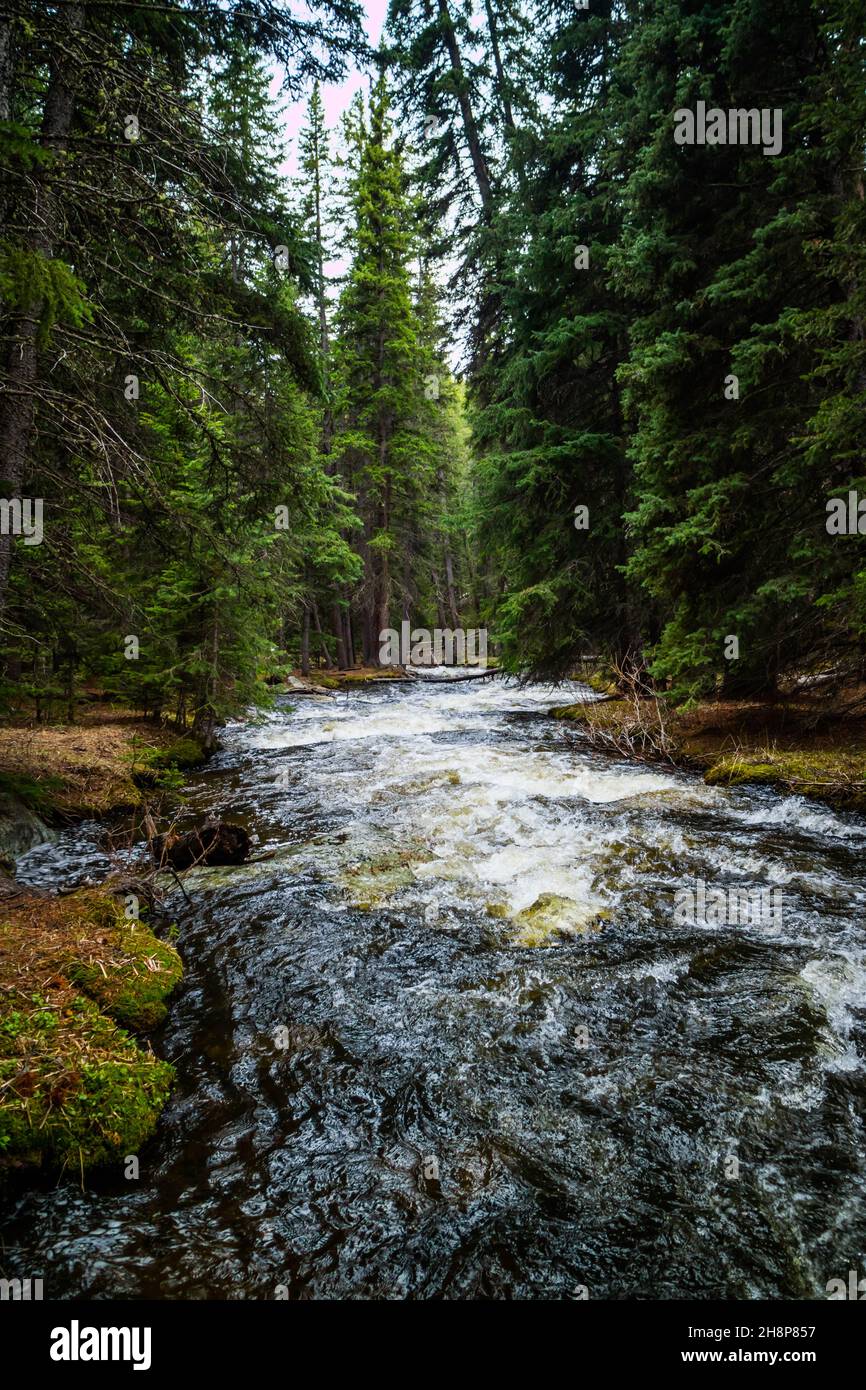 The refreshing flow of natural water resource from a body of water ...