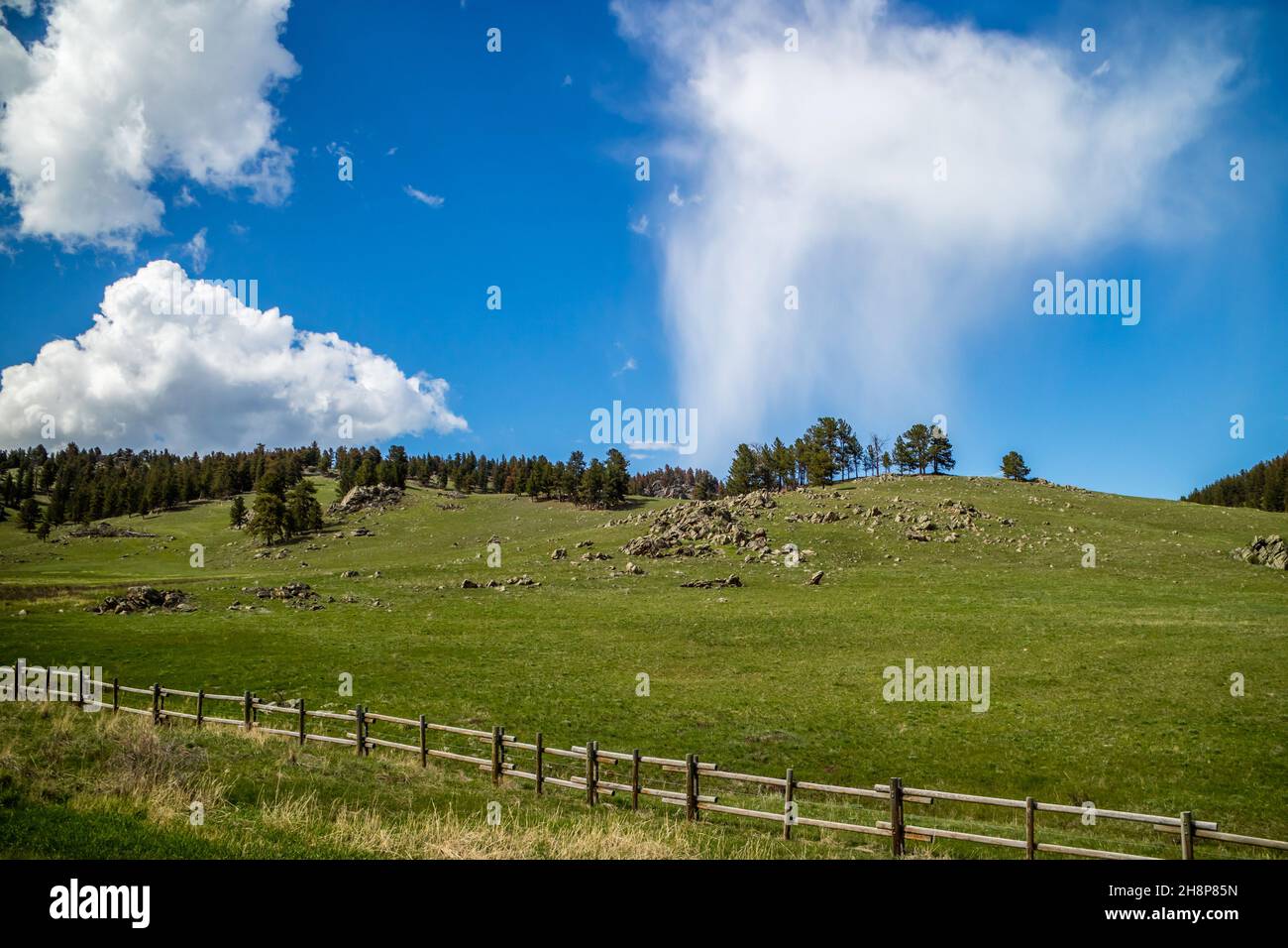 Epic forest landscape scenery in the protected area of the preserve ...