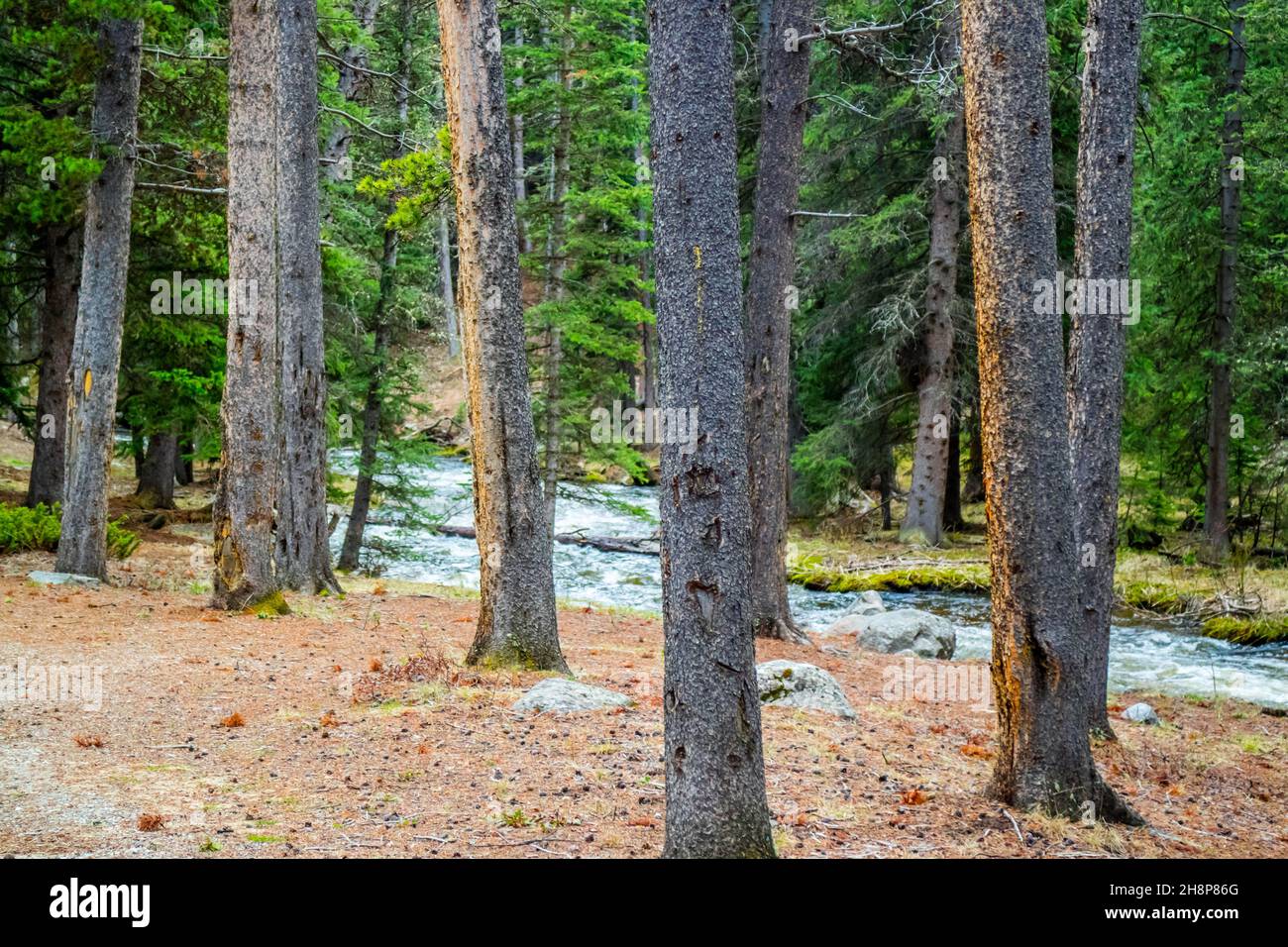 The refreshing flow of natural water resource from a body of water ...