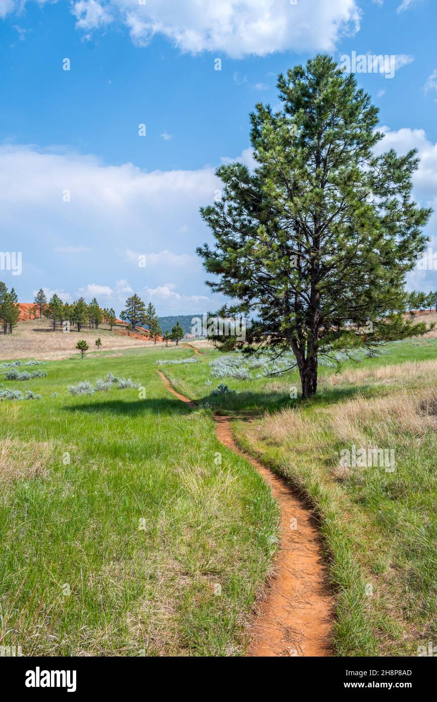 A scenic view of the forest in the preserve park while taking its trail ...