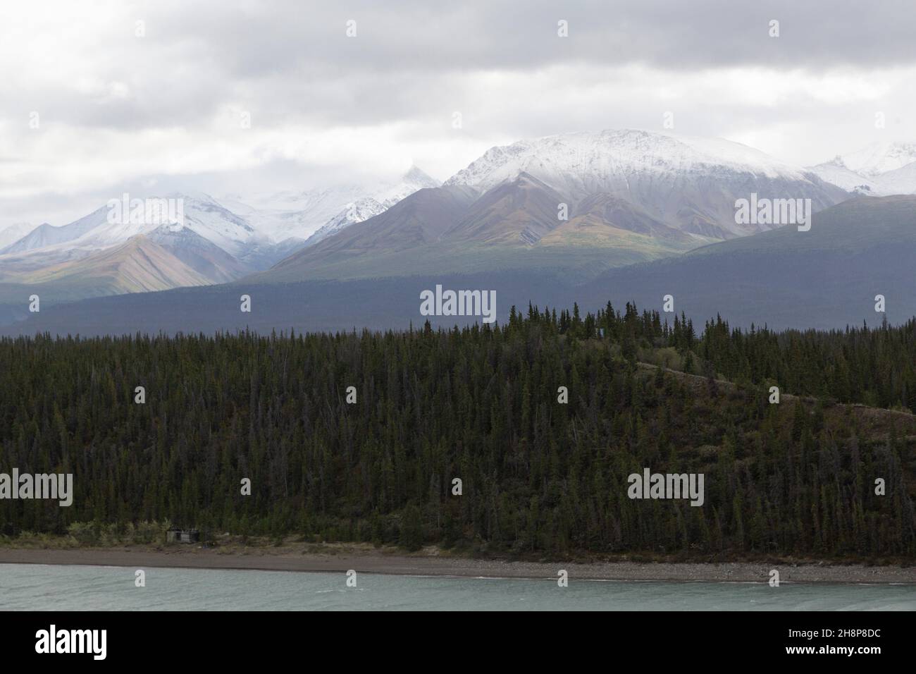 Yukon snow trees hi-res stock photography and images - Alamy