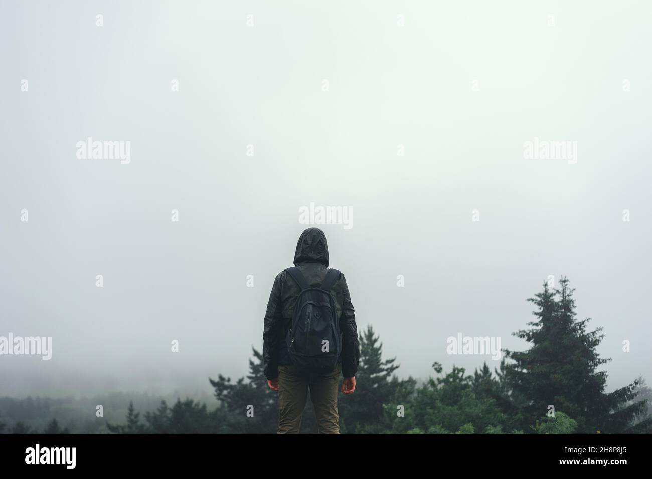 Man standing on top of a mountain with forest aerial view Travel ...