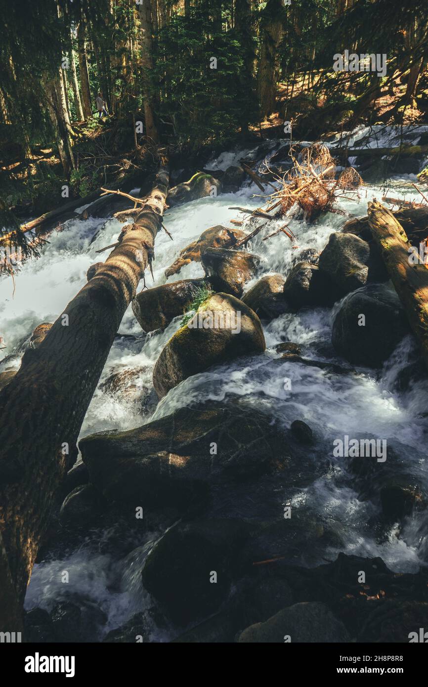 Mountain Stream In The Woods At Spring Stock Photo - Alamy