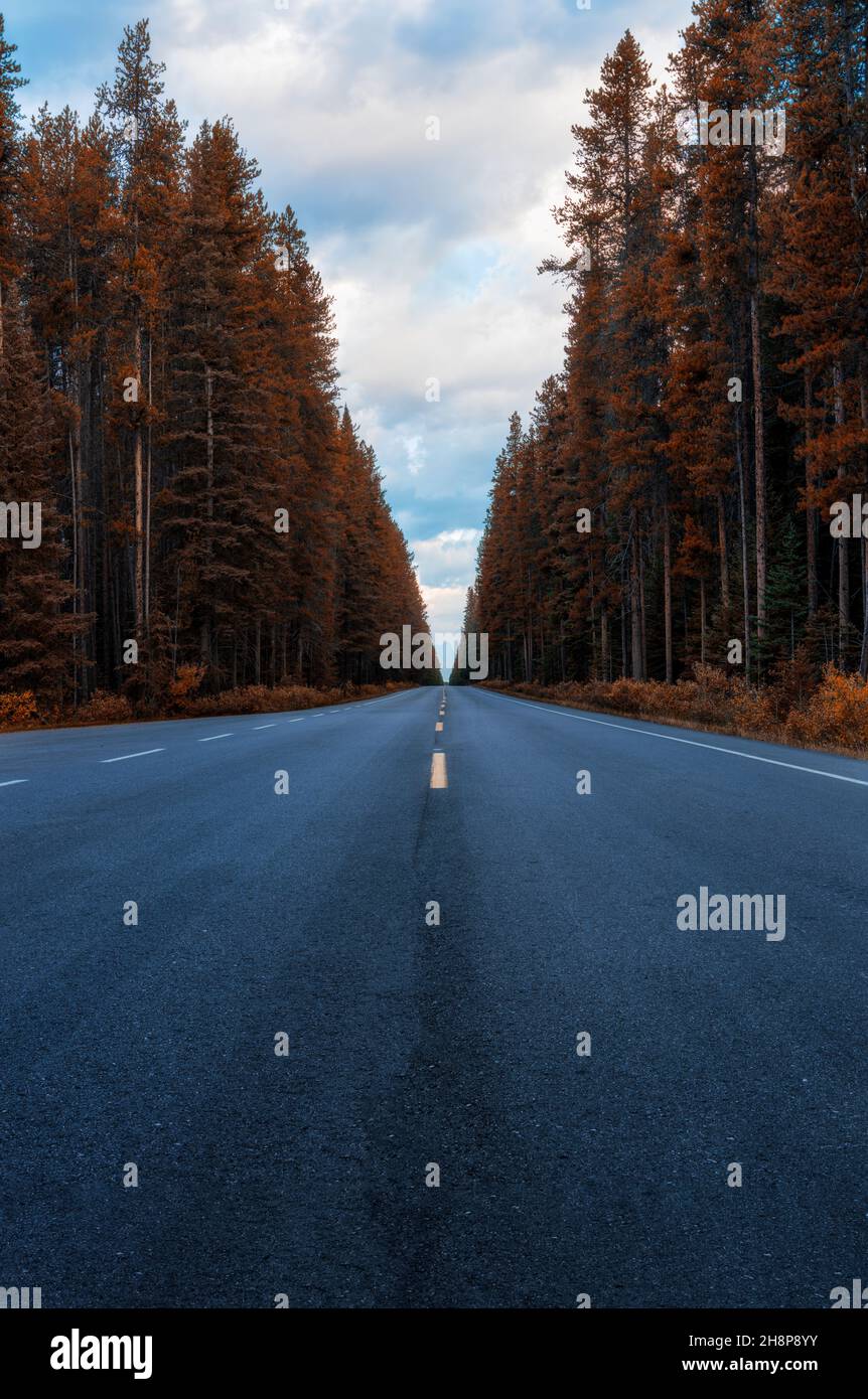 Road Leading to Infinity, Bow Valley Parkway, Banff National Park ...