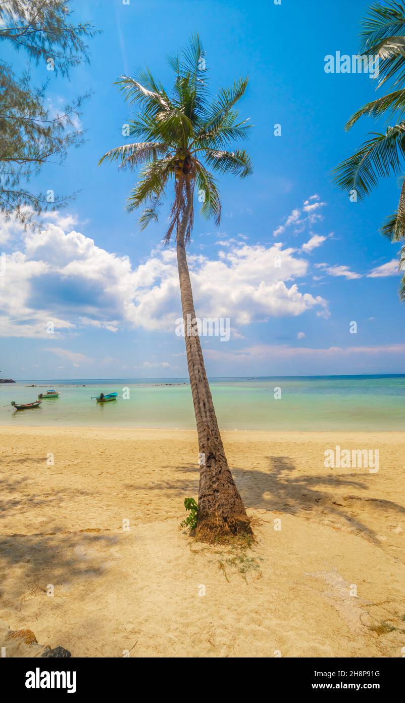 Beach on the tropical island. Clear blue water, sand and palm trees ...