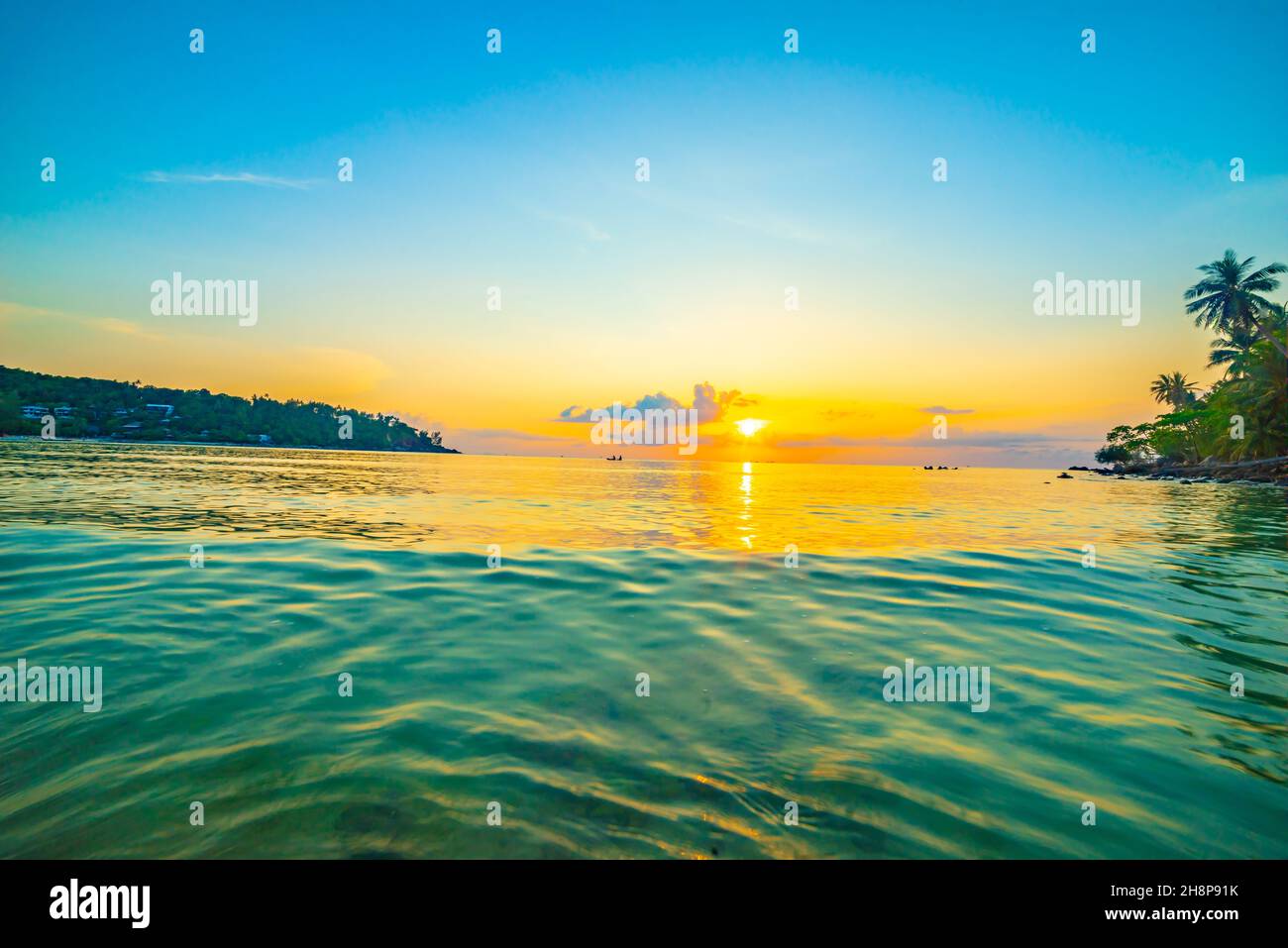 Beautiful tropical sunset scenery,palm tree. White sand, sea view with ...