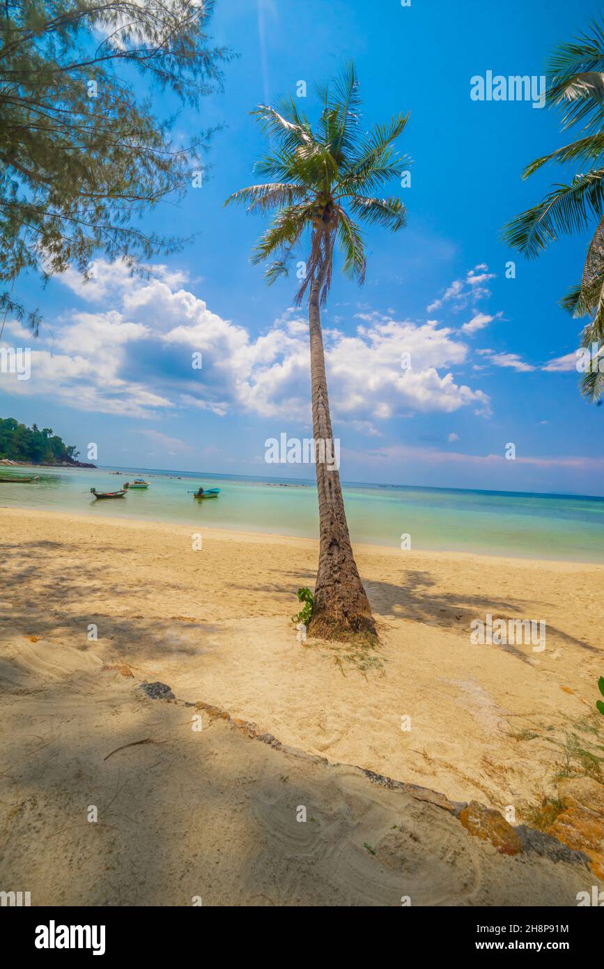 Beach on the tropical island. Clear blue water, sand and palm trees ...