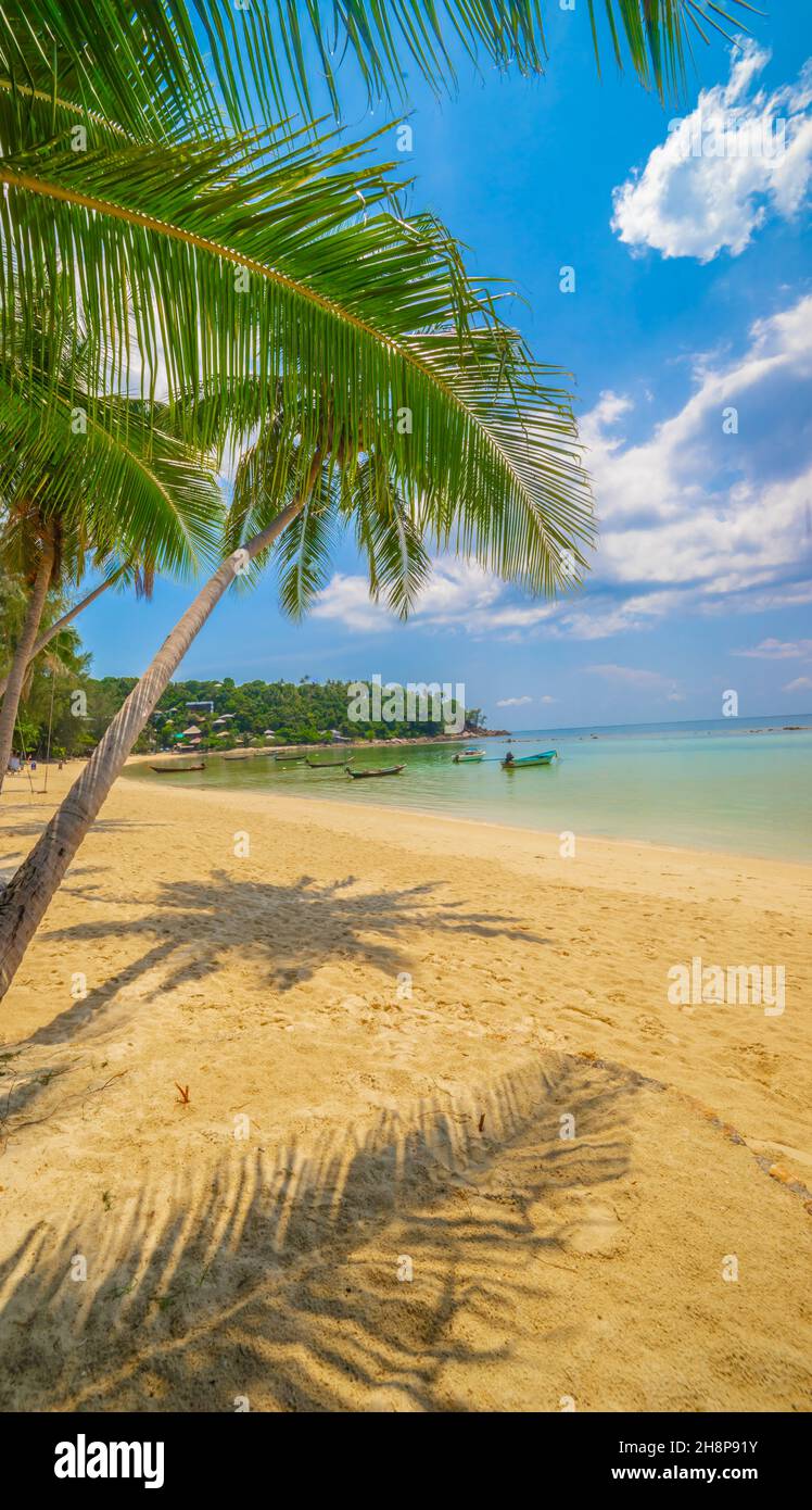 Beach on the tropical island. Clear blue water, sand and palm trees ...