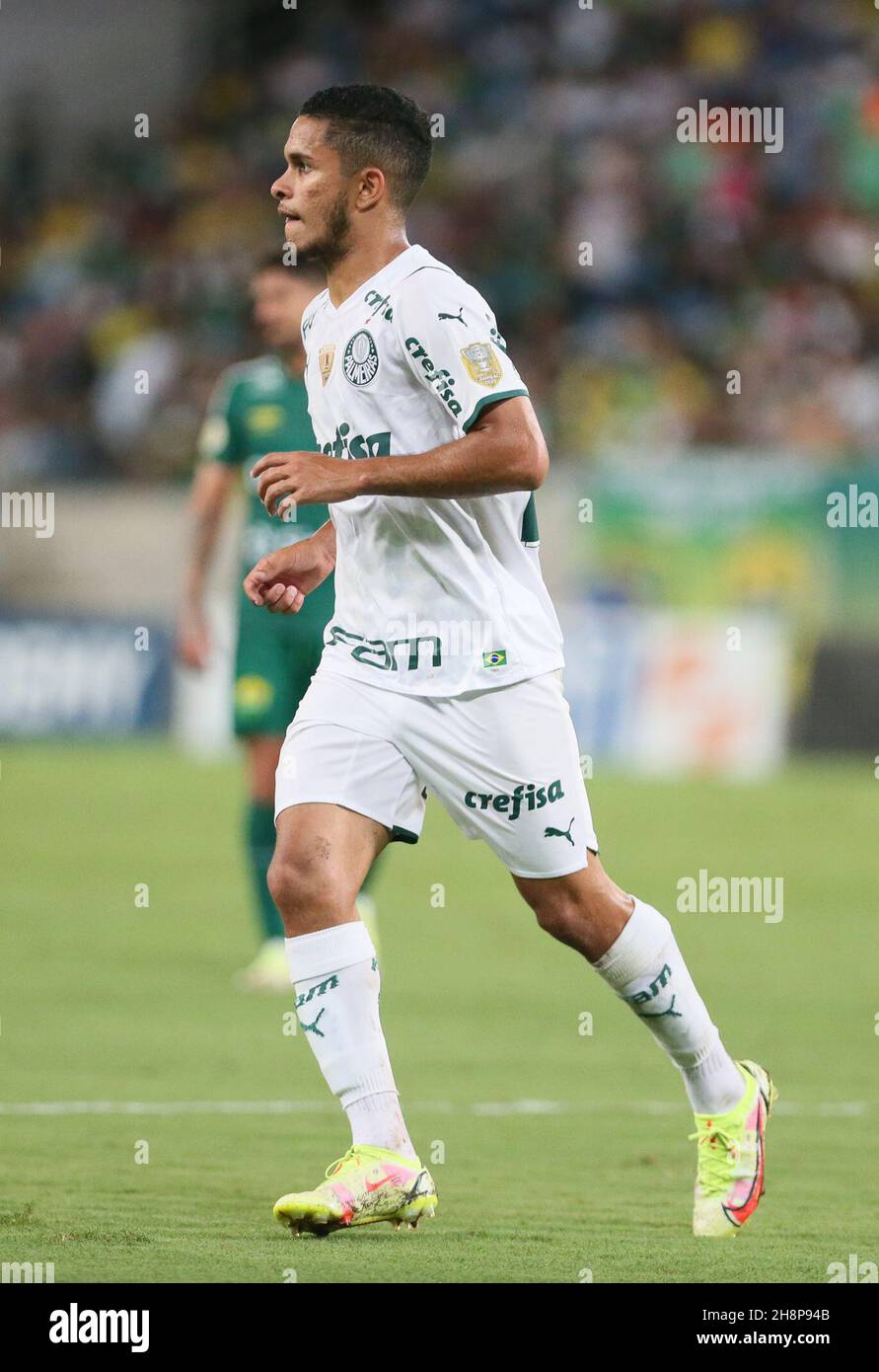 MT - Cuiaba - 11/30/2021 - BRAZILIAN IN 2021, CUIABA X PALMEIRAS ...