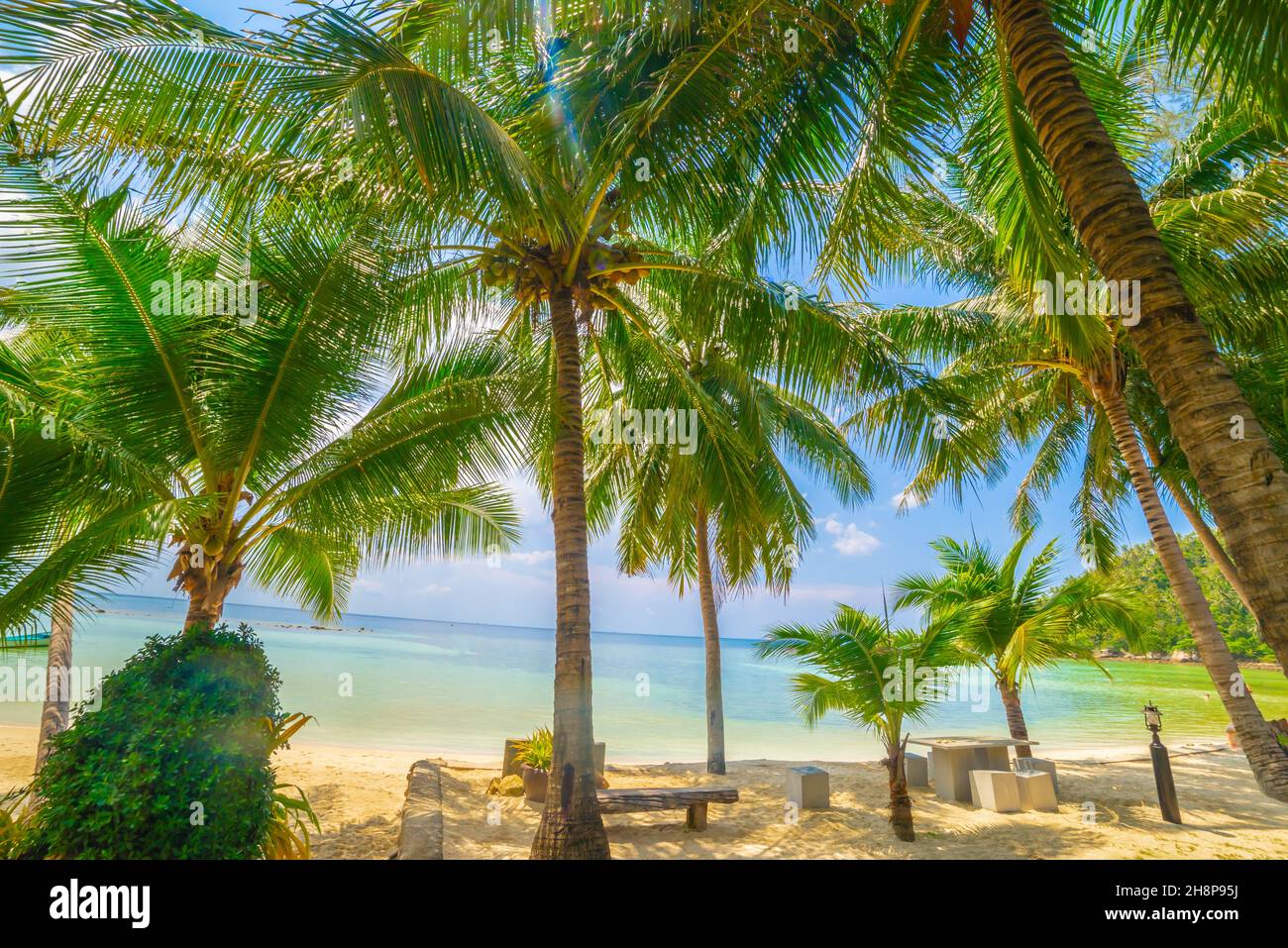 Beach on the tropical island. Clear blue water, sand and palm trees ...