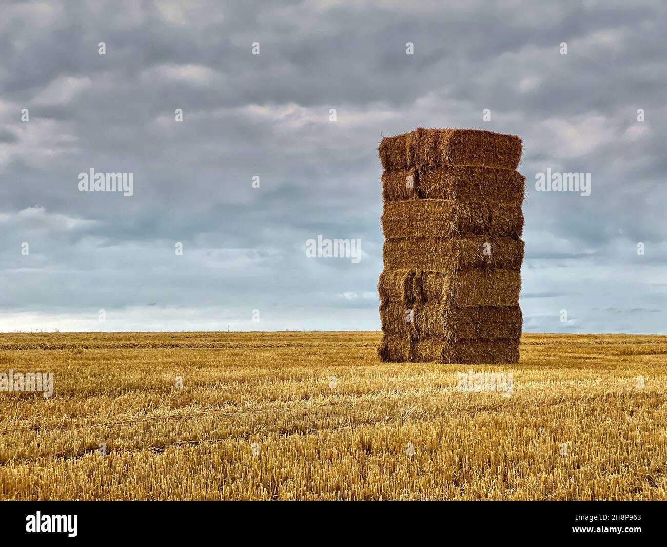 Stack of hay bales Stock Photo - Alamy