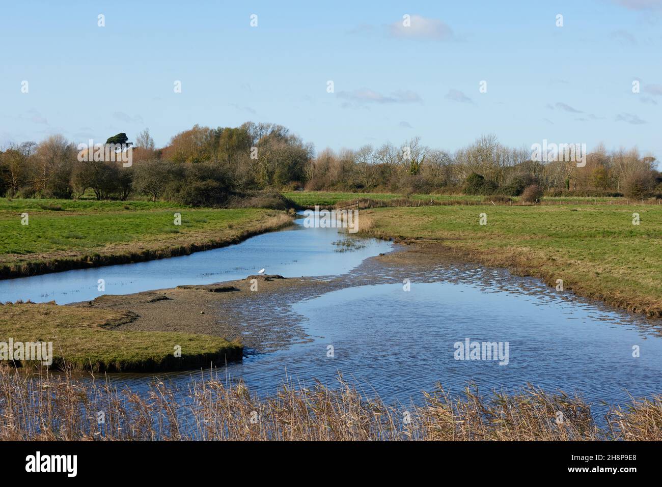 Natural stream and farmland seen in Pagham Harbour Nature Reserve Stock ...