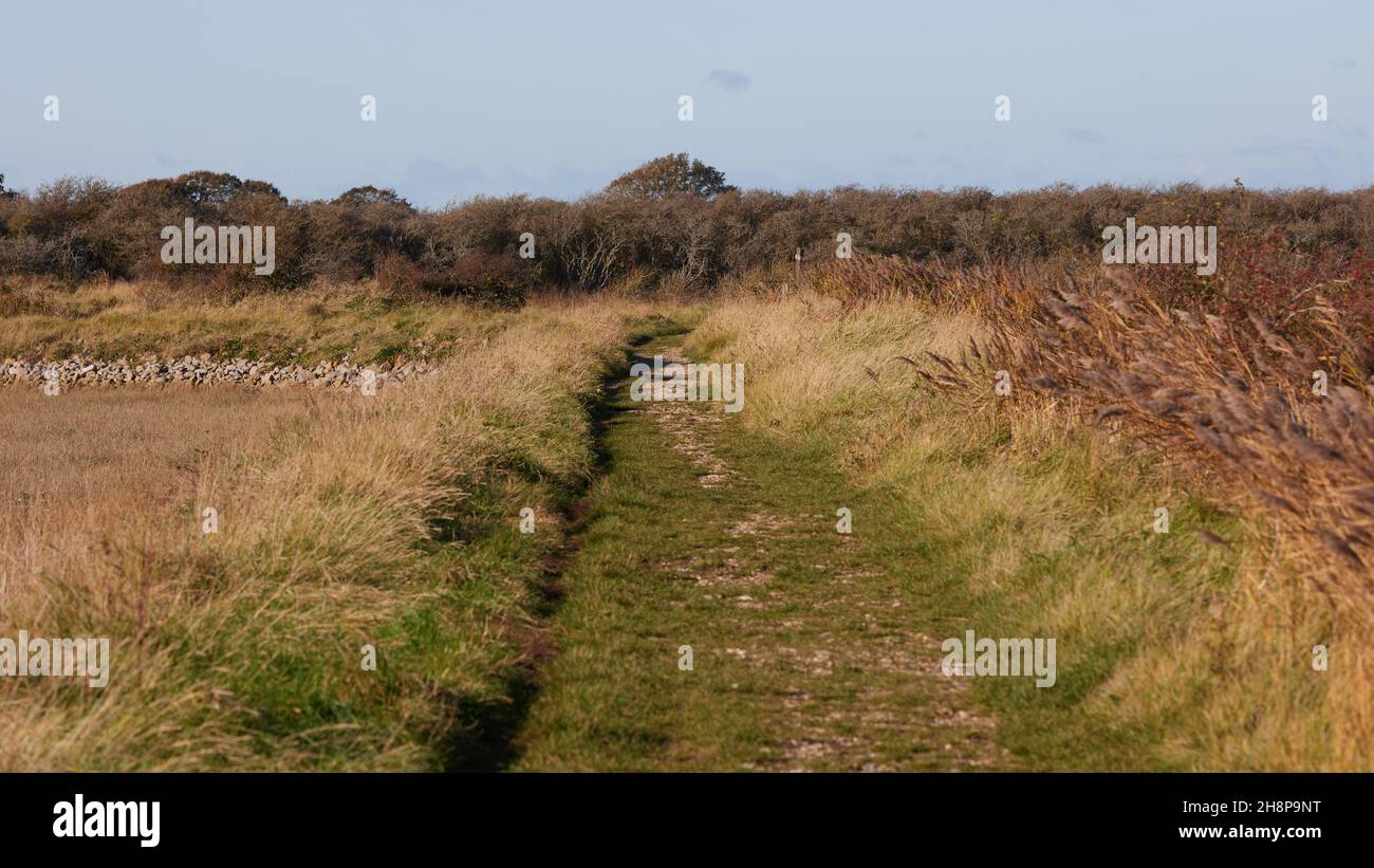 Footpath on Northwall seen in Pagham Harbour Nature Reserve Stock Photo ...