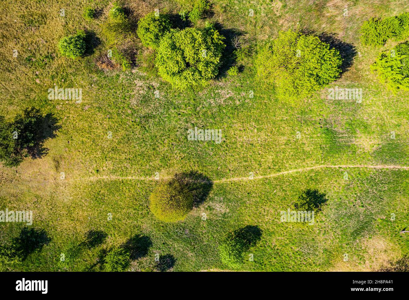 Top view aerial shot of green field with grass and trees Stock Photo ...