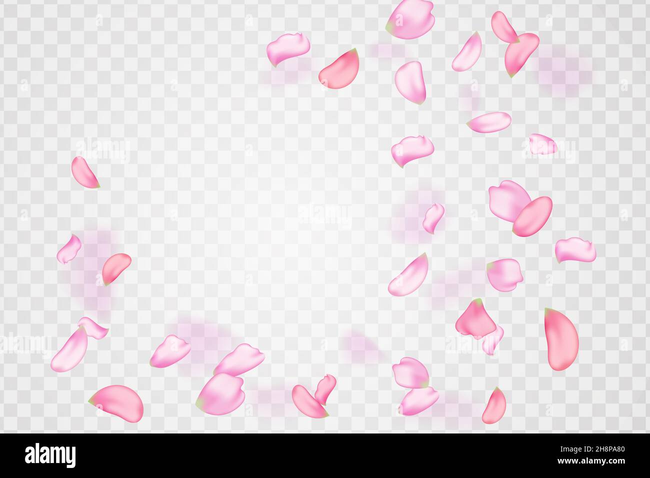 Nature horizontal background.Pink falling sakura petals.Vector ...