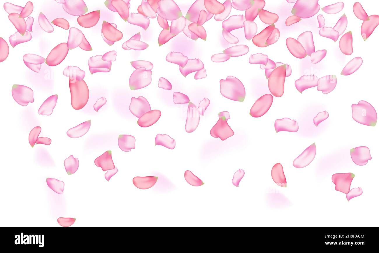 Nature horizontal background.Pink falling sakura petals.Vector ...