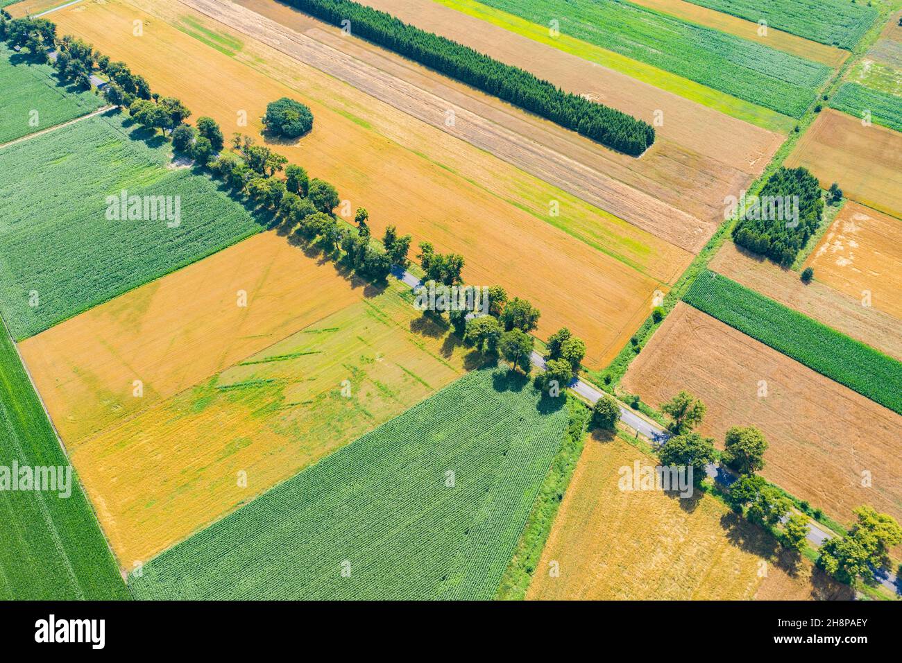 Green fields aerial view hi-res stock photography and images - Alamy