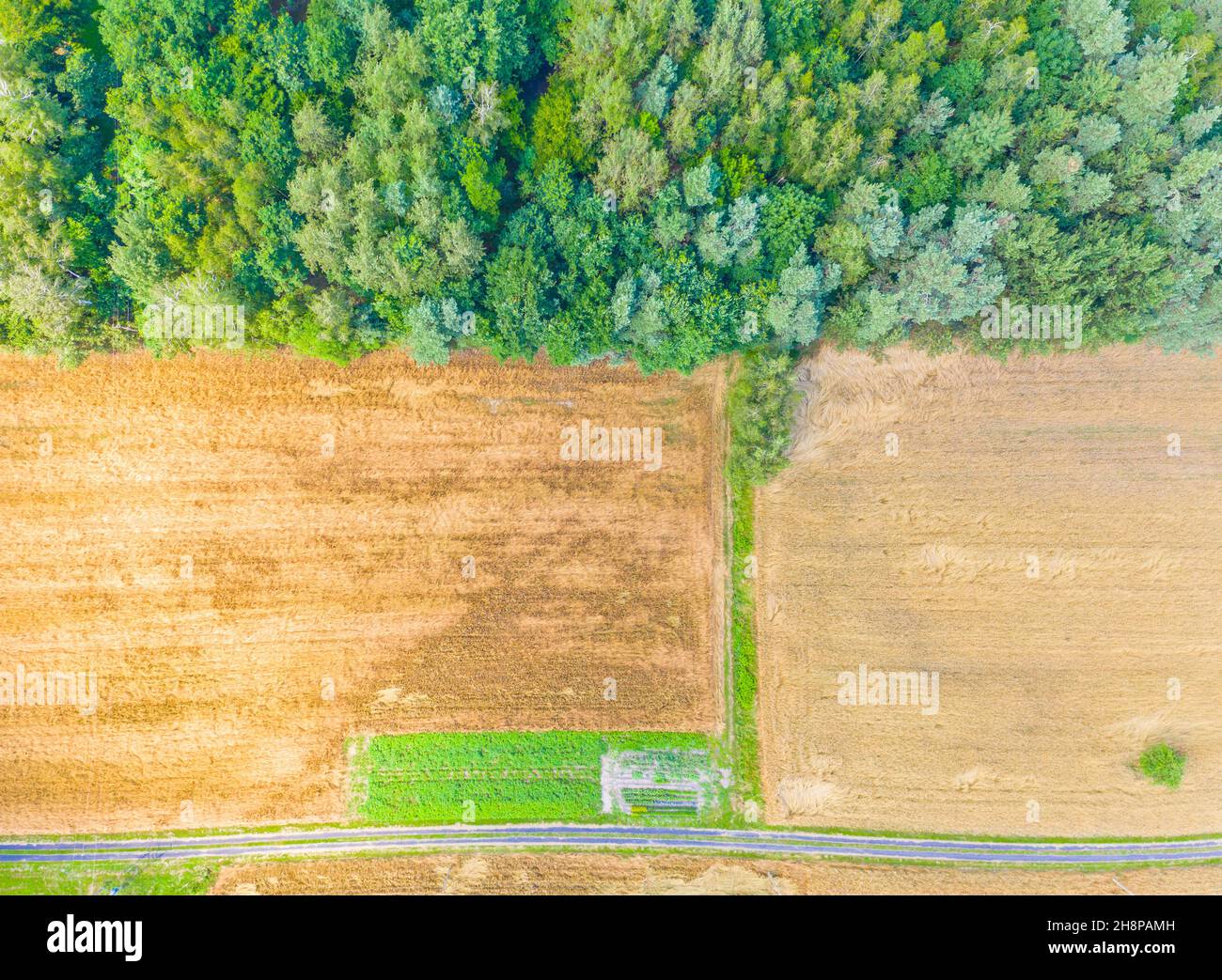 Spring birds eye view photography hi-res stock photography and images ...