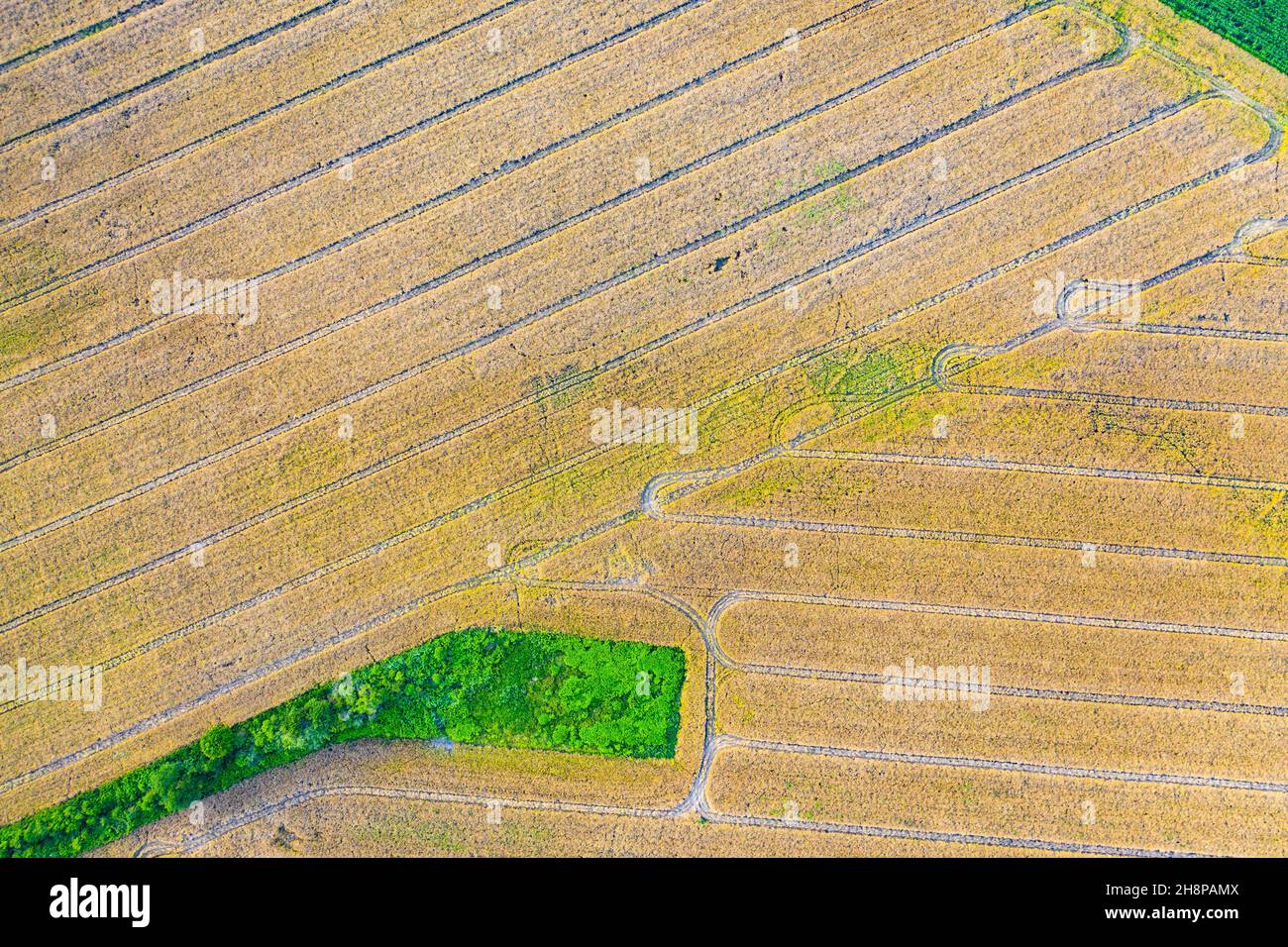 Abstract geometric shapes of agricultural parcels of different crops in ...