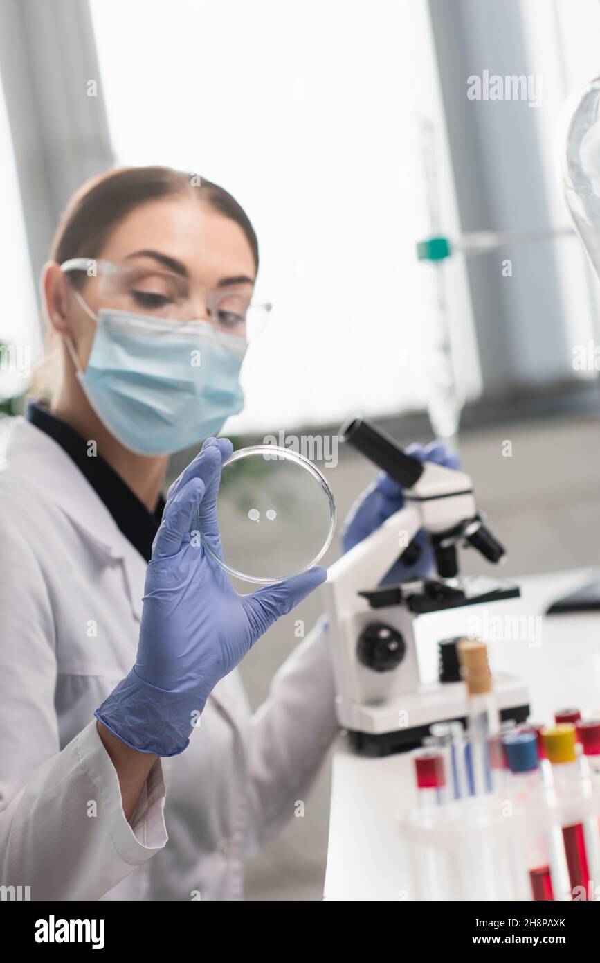 Petri dish in hand of blurred scientist in medical mask near microscope ...