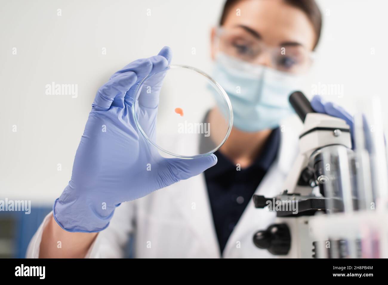 Petri dish in hand of blurred scientist near microscope in laboratory ...