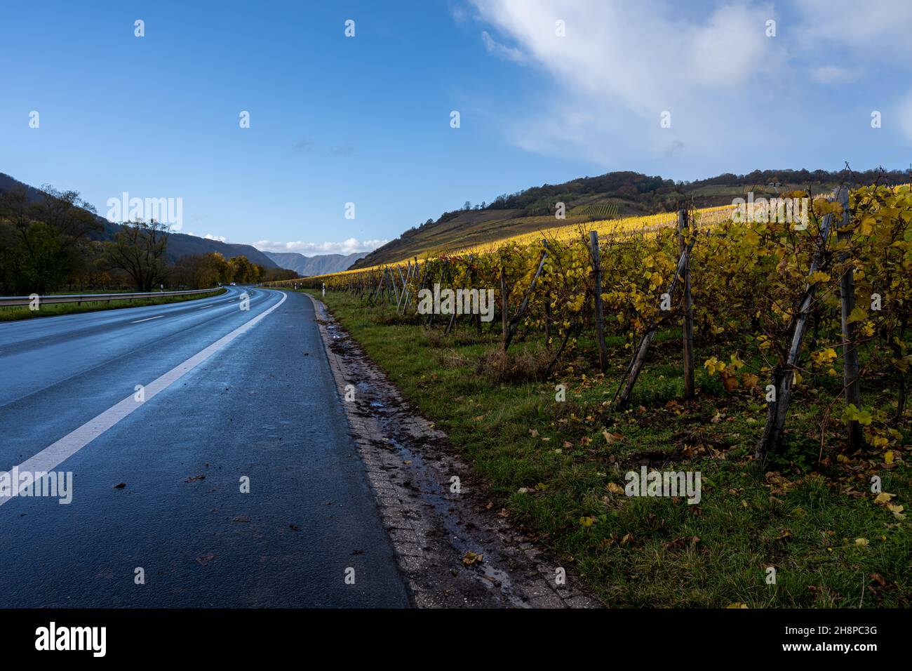 Grape mosel wine hi-res stock photography and images - Alamy