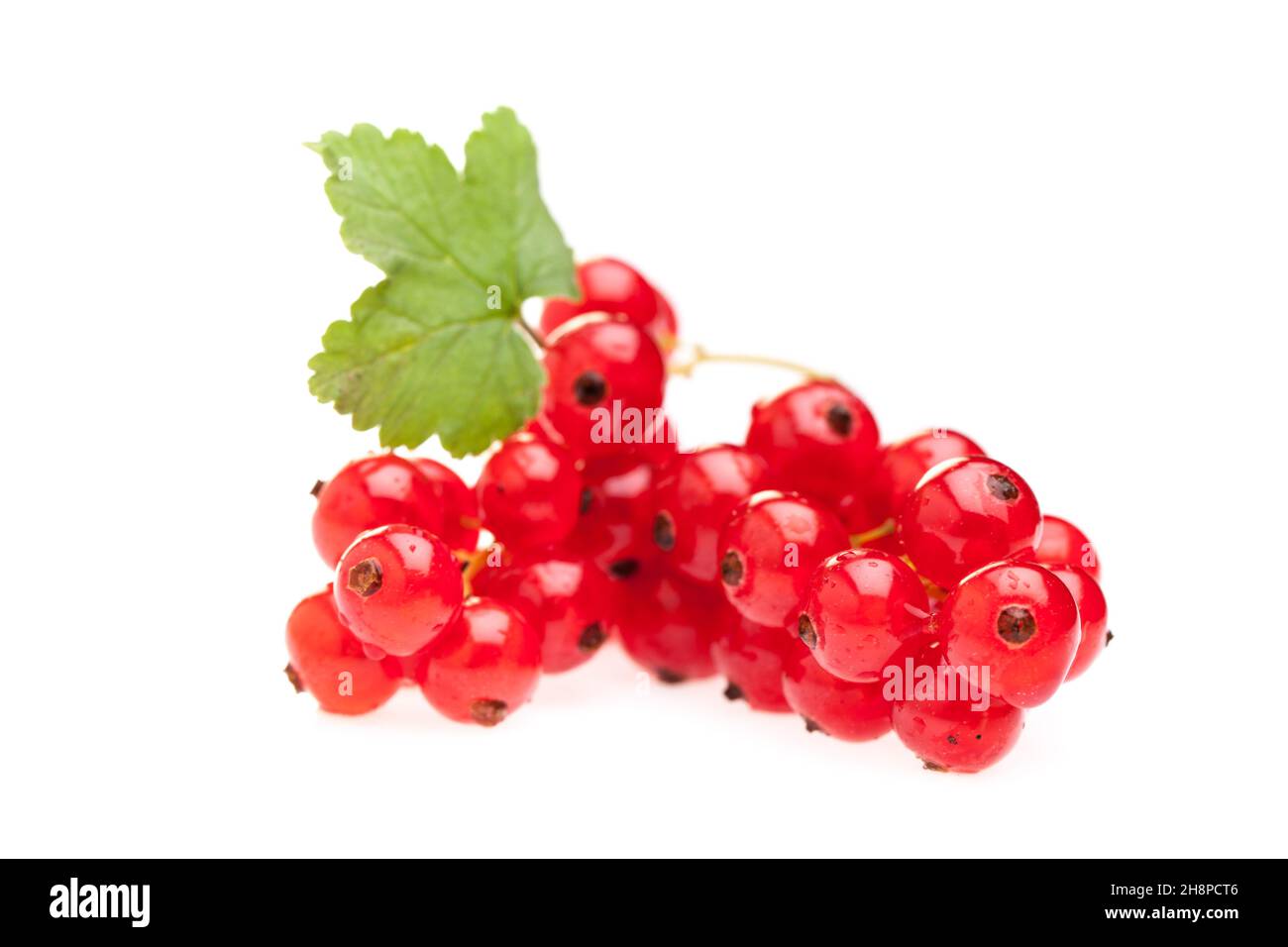 Red currant with leaf on white isolated on white background Currants ...