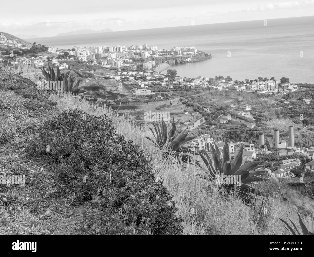 Island Of Madeira