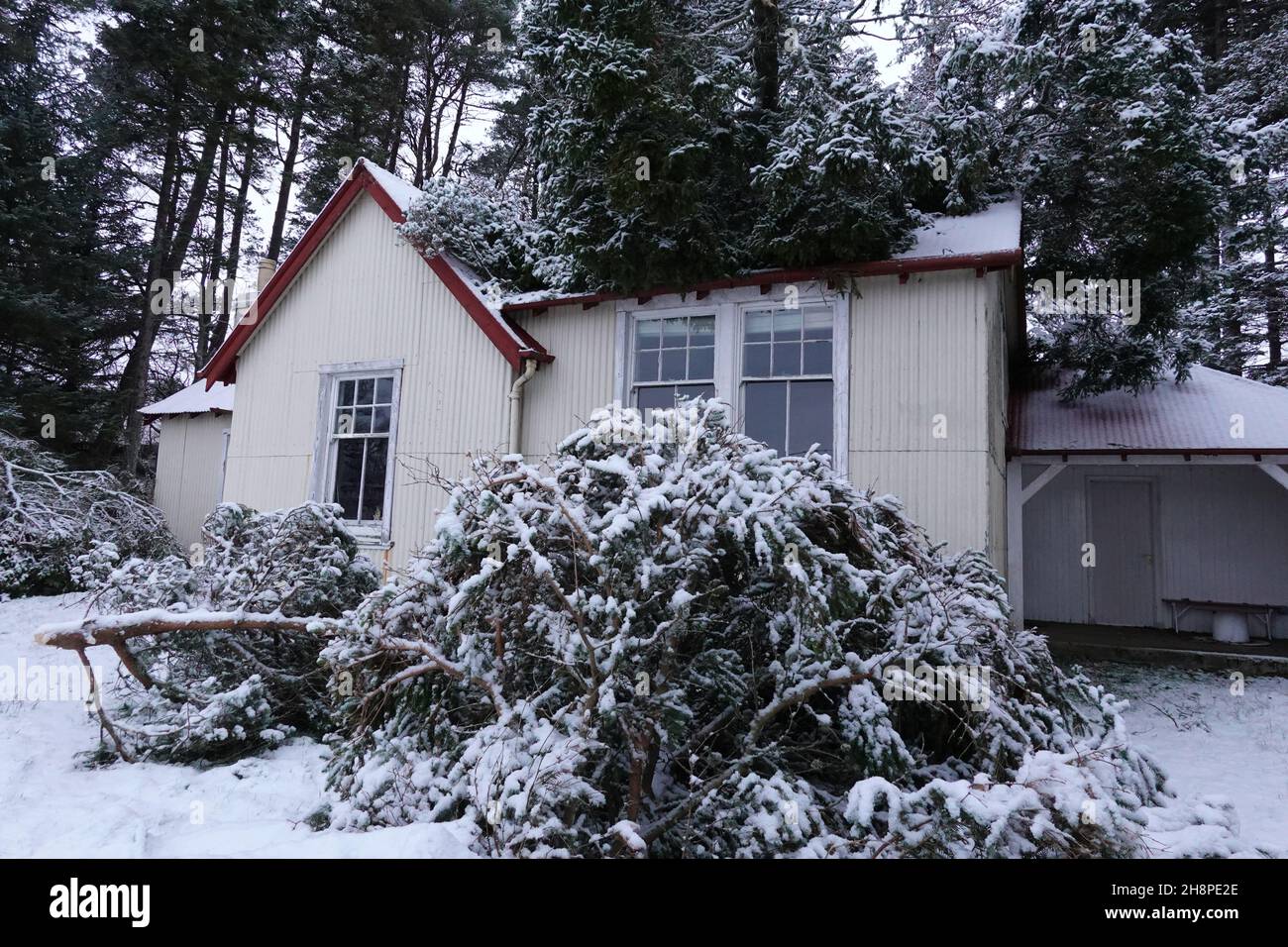 Snow storm arwen hi-res stock photography and images - Alamy