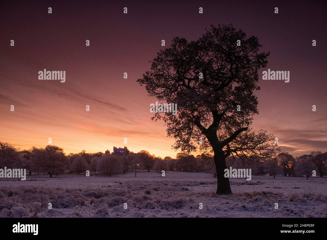 Winter Sunrise in the Snow at Wollaton Park in Nottingham ...