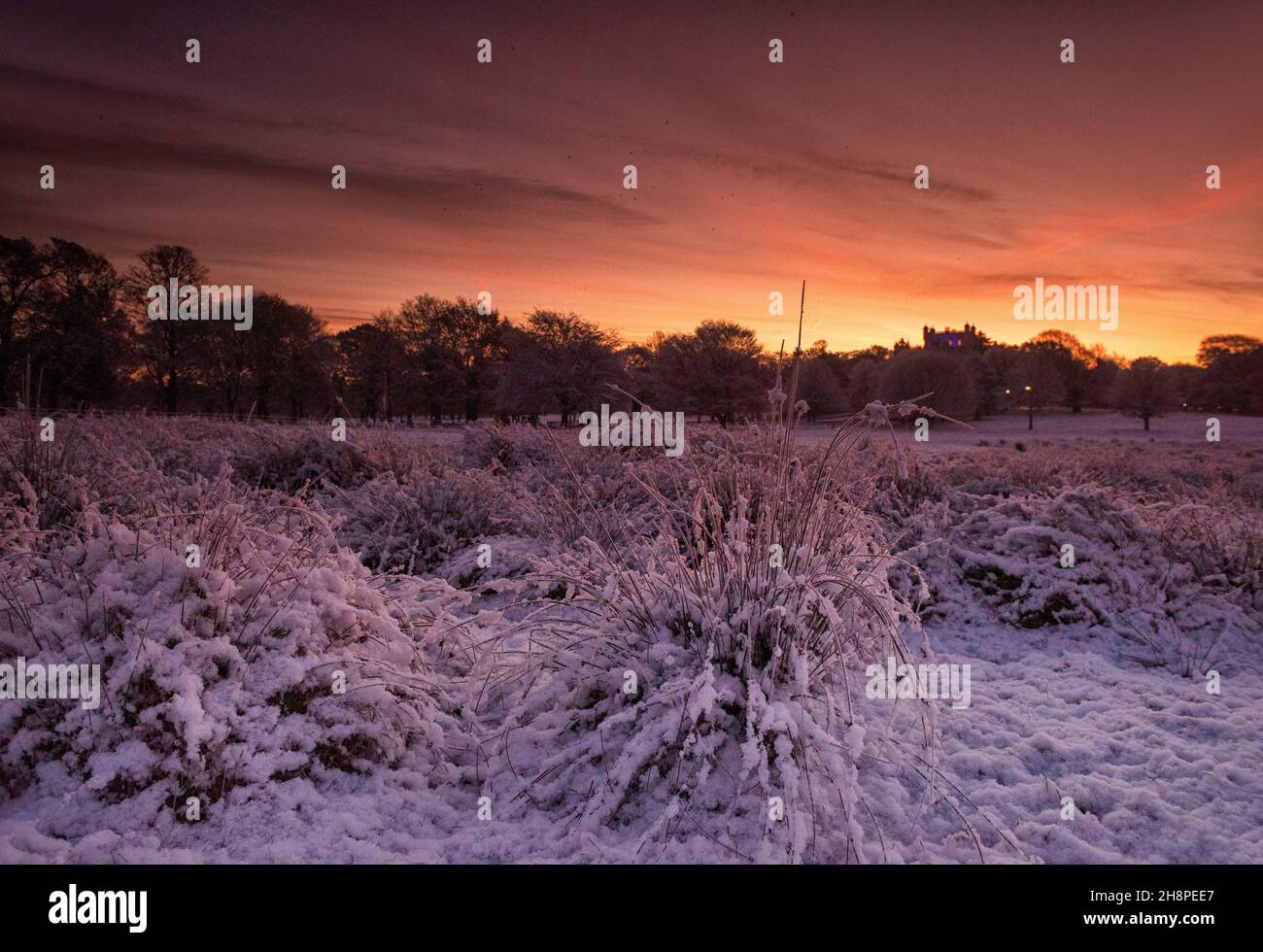 Winter Sunrise in the Snow at Wollaton Park in Nottingham ...