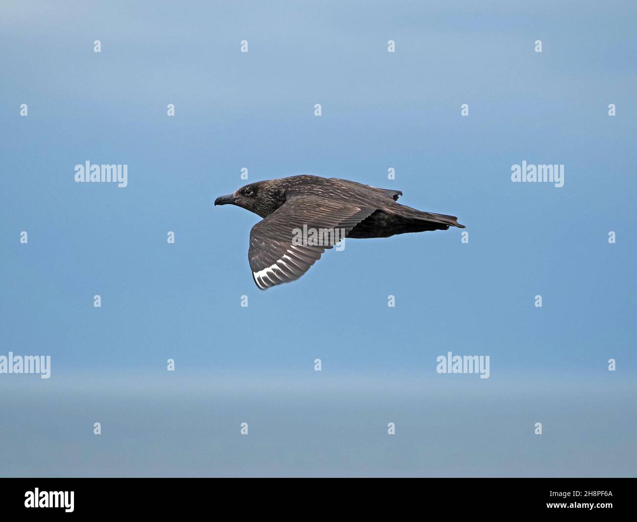 Predates hi-res stock photography and images - Alamy