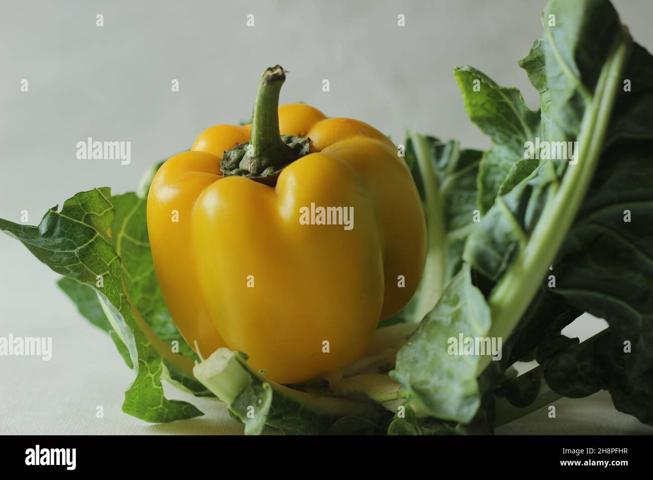 Yellow bell peppers. Bell pepper or Capsicum annuum, also called sweet ...
