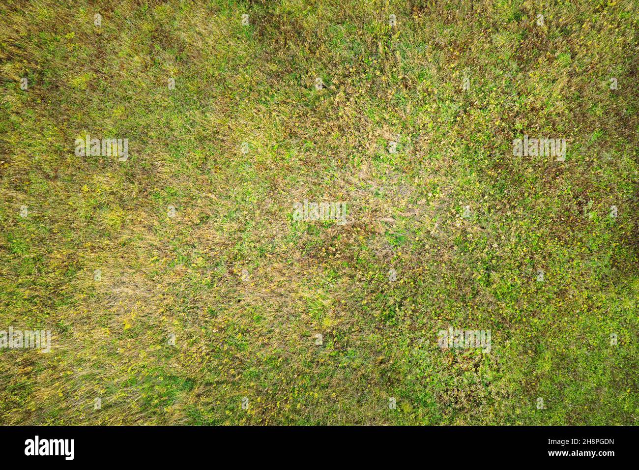 Green natural grass top aerial view. Background and texture Stock Photo ...