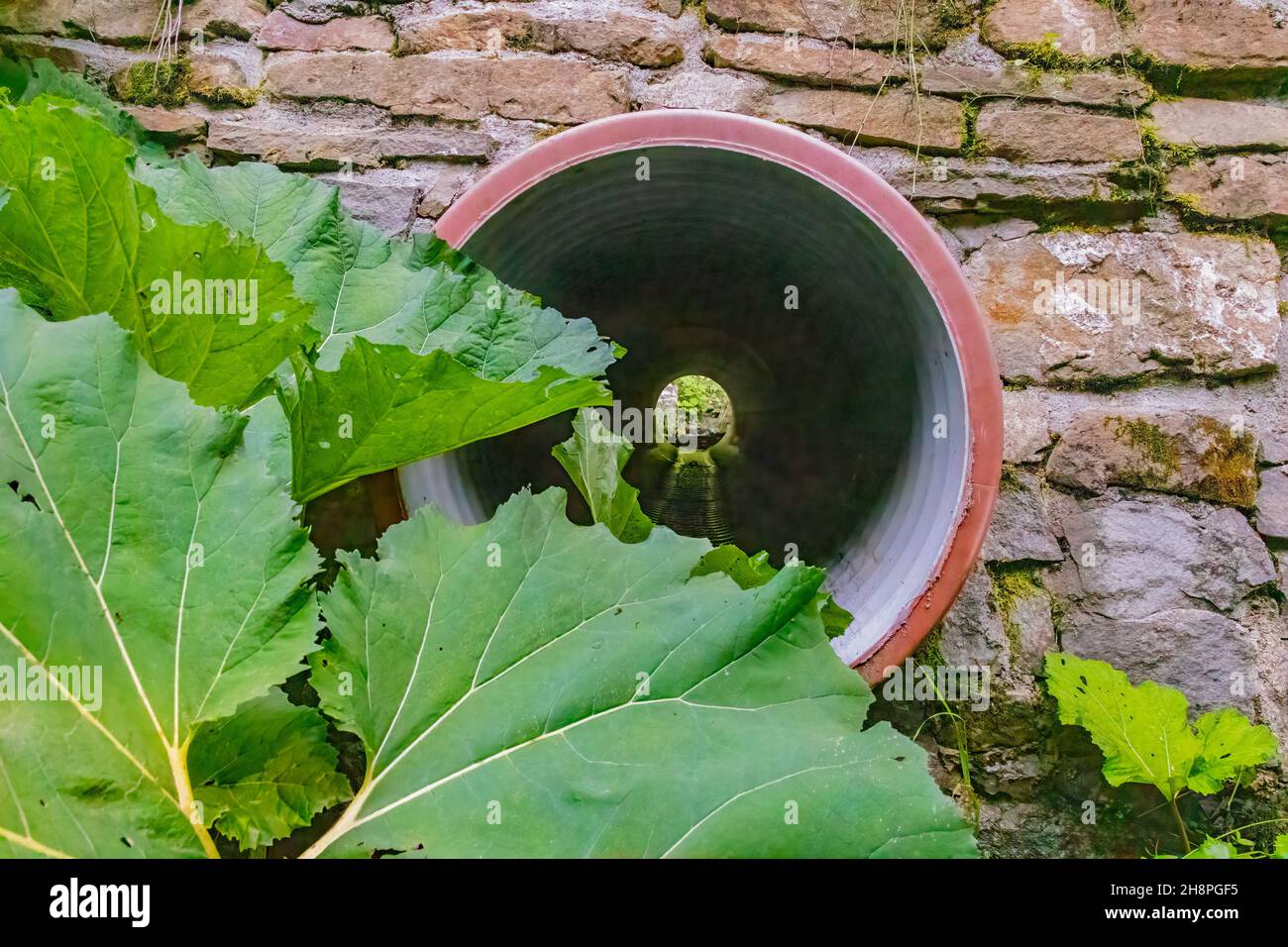 Long tube through a stone wall in a forest Stock Photo - Alamy