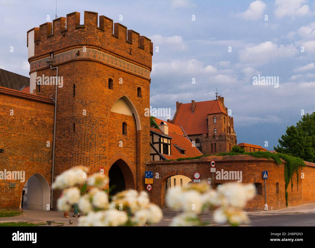 Watchtower of Teutonic castle, Torun, Poland Stock Photo - Alamy