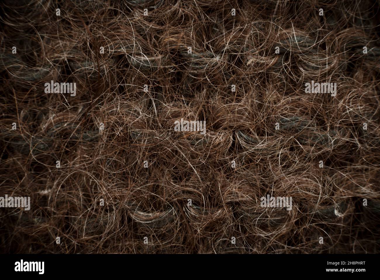 Material, natural wool fabric. Felt. Sheep wool background closeup ...