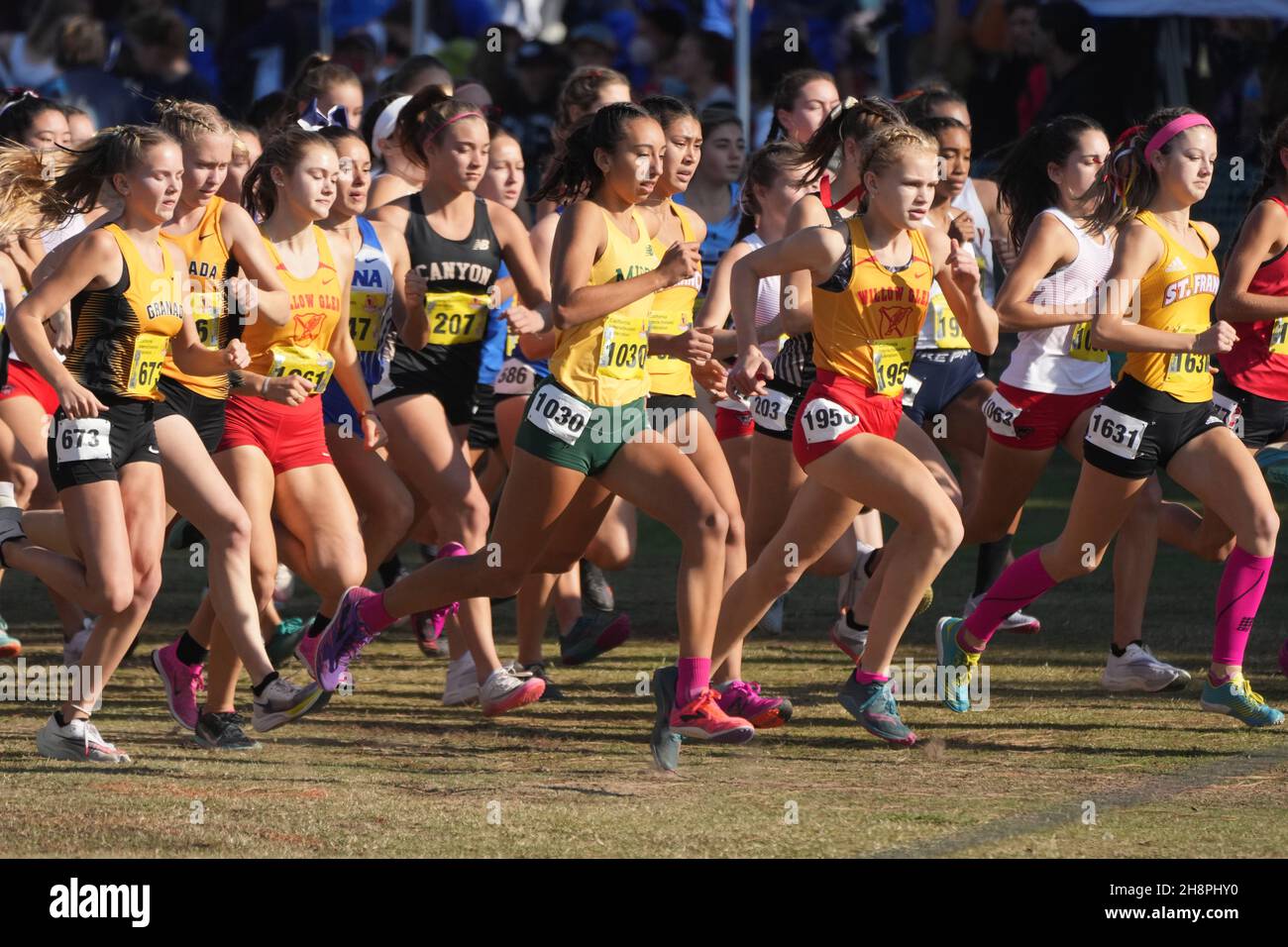 52 cif state cross country championships woodward park hi-res stock ...