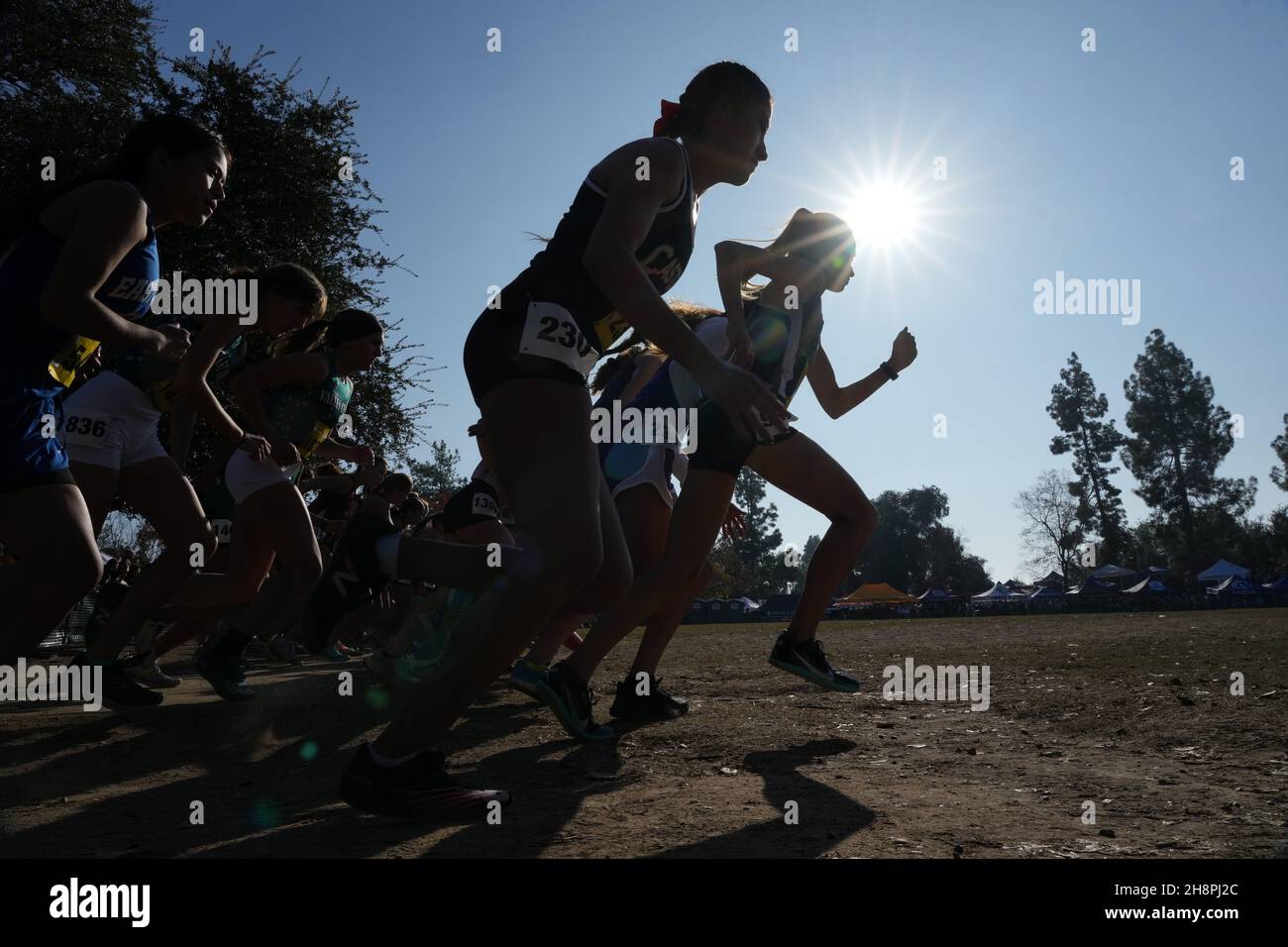 Cif hi-res stock photography and images - Alamy